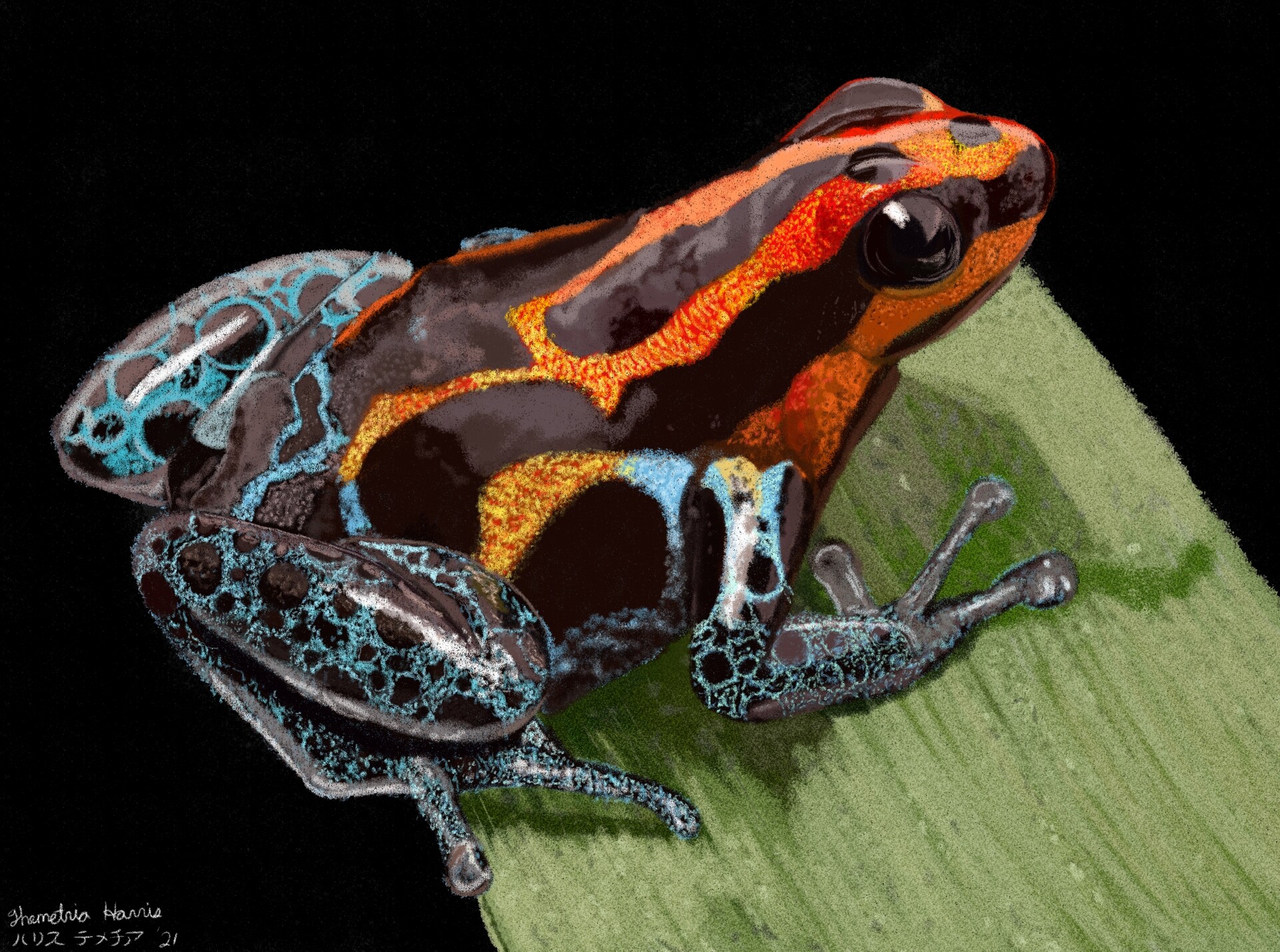 ArtStation - Poison frog