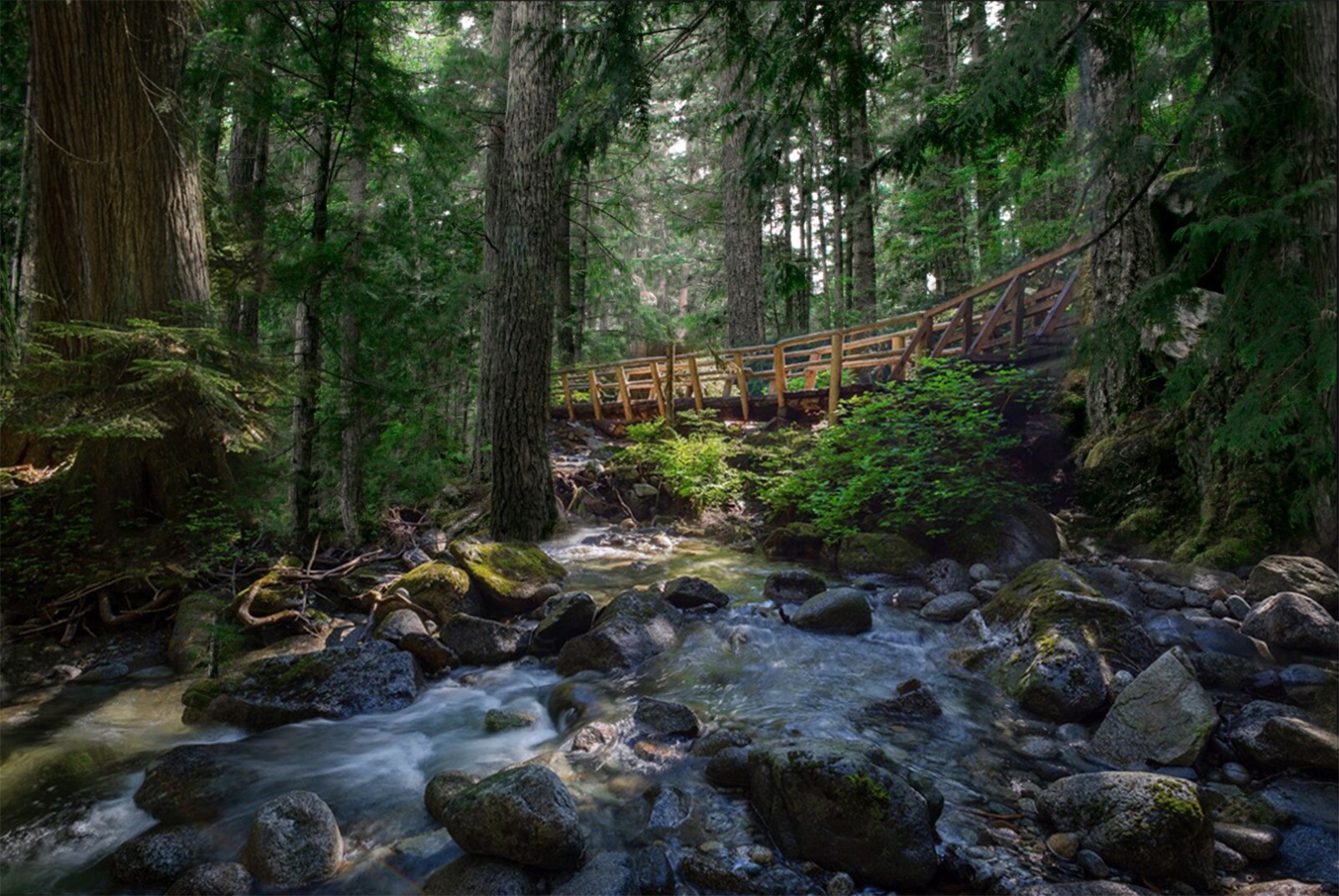 ArtStation - Forest Water