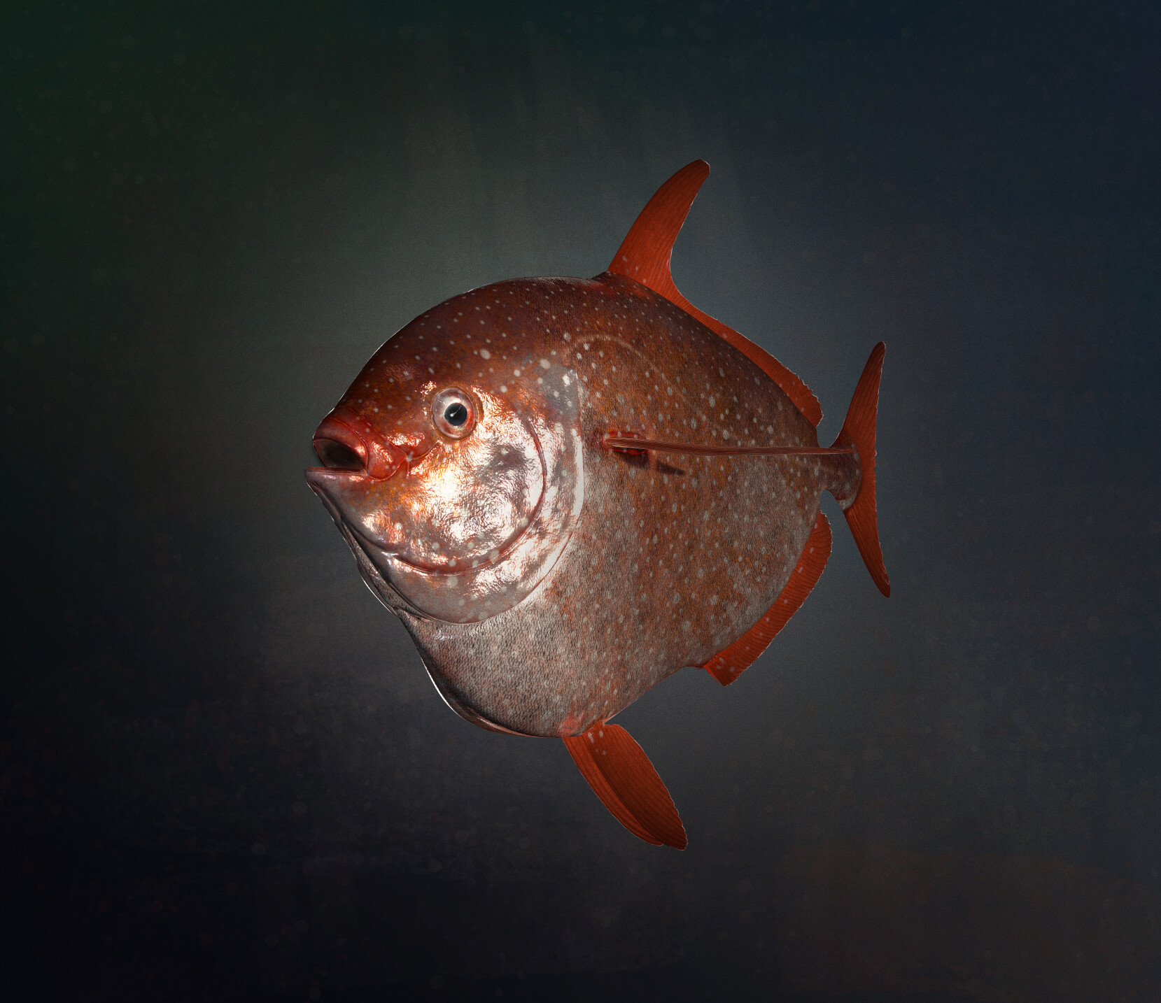 ArtStation - Lampris guttatus