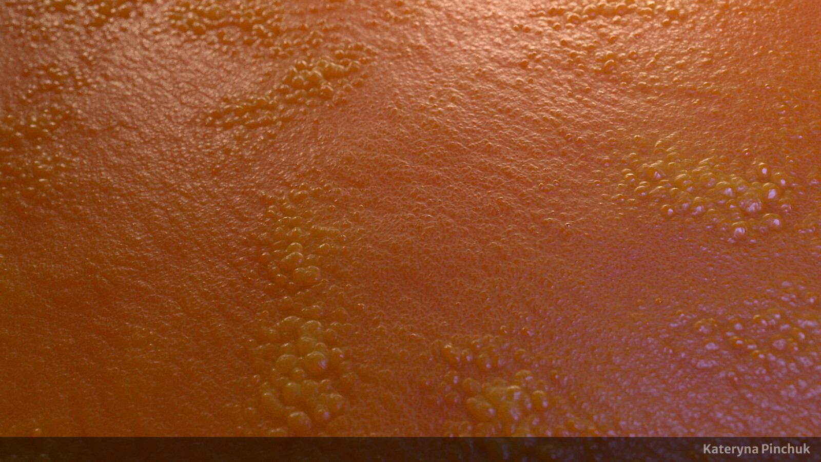 Kateryna Pinchuk - Frog Skin - Substance Designer