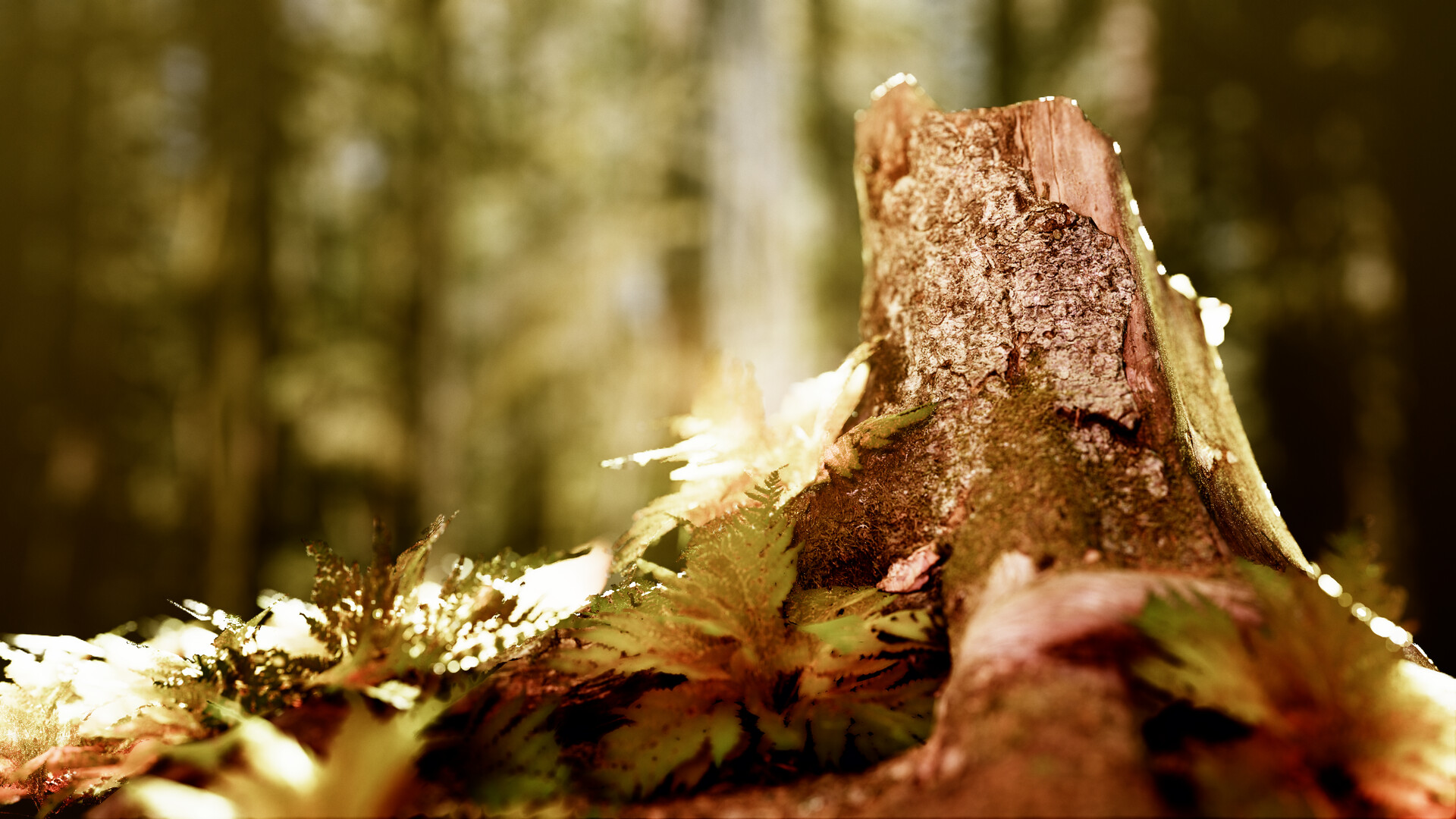 ArtStation - Organic Marmoset Practice