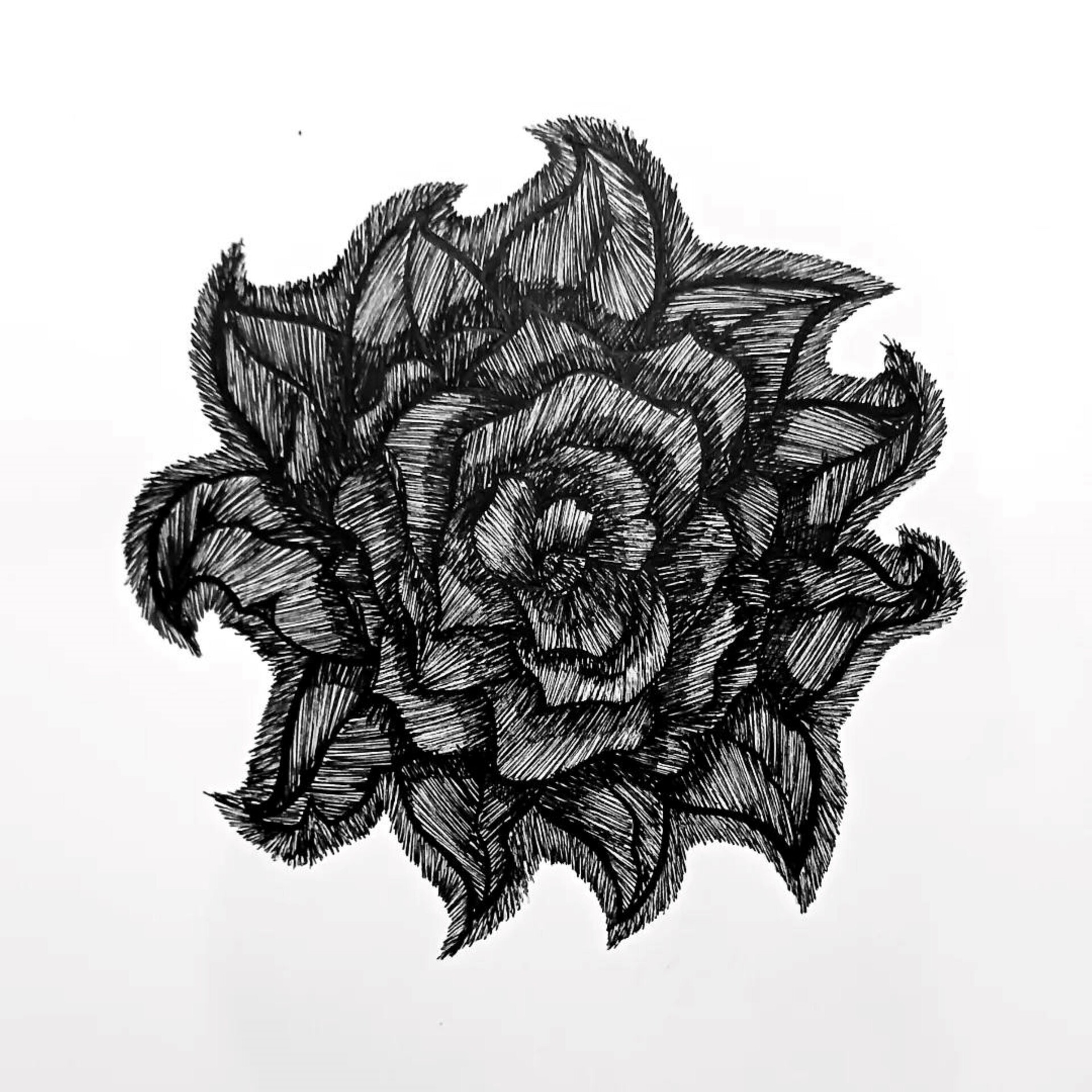 ArtStation - "A rose"