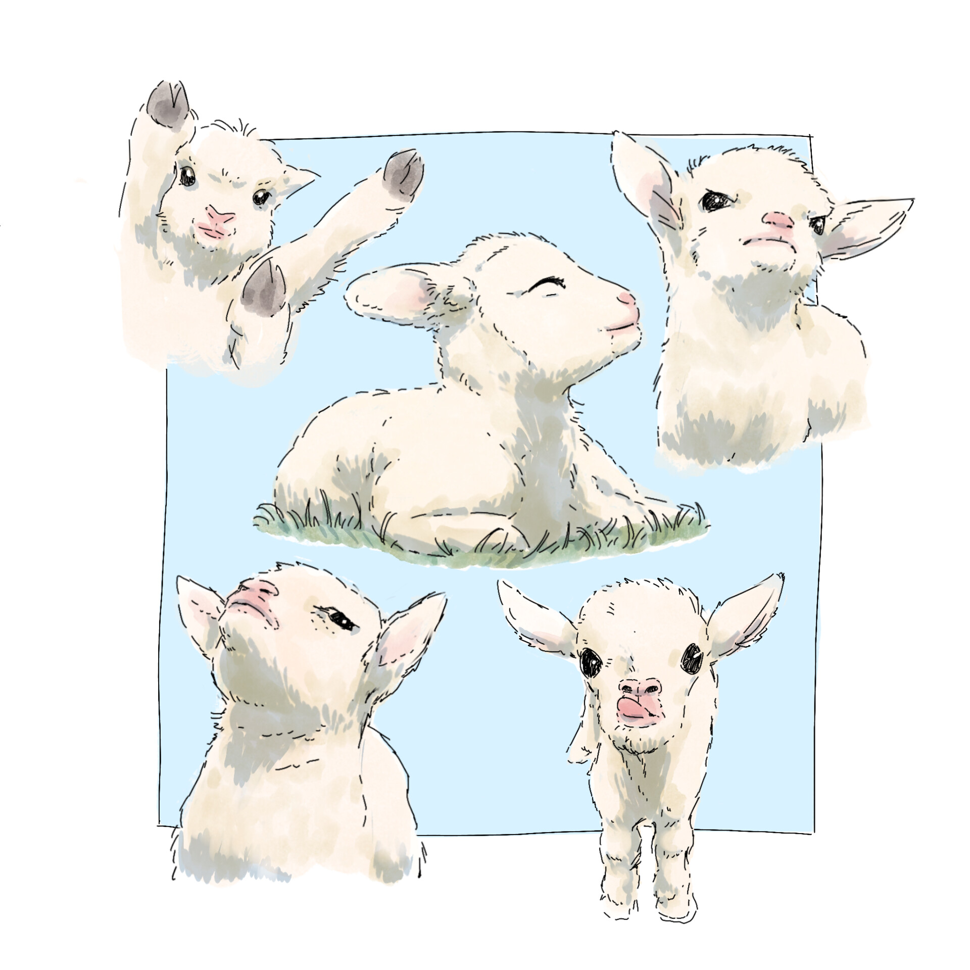 ArtStation - sheep doodles