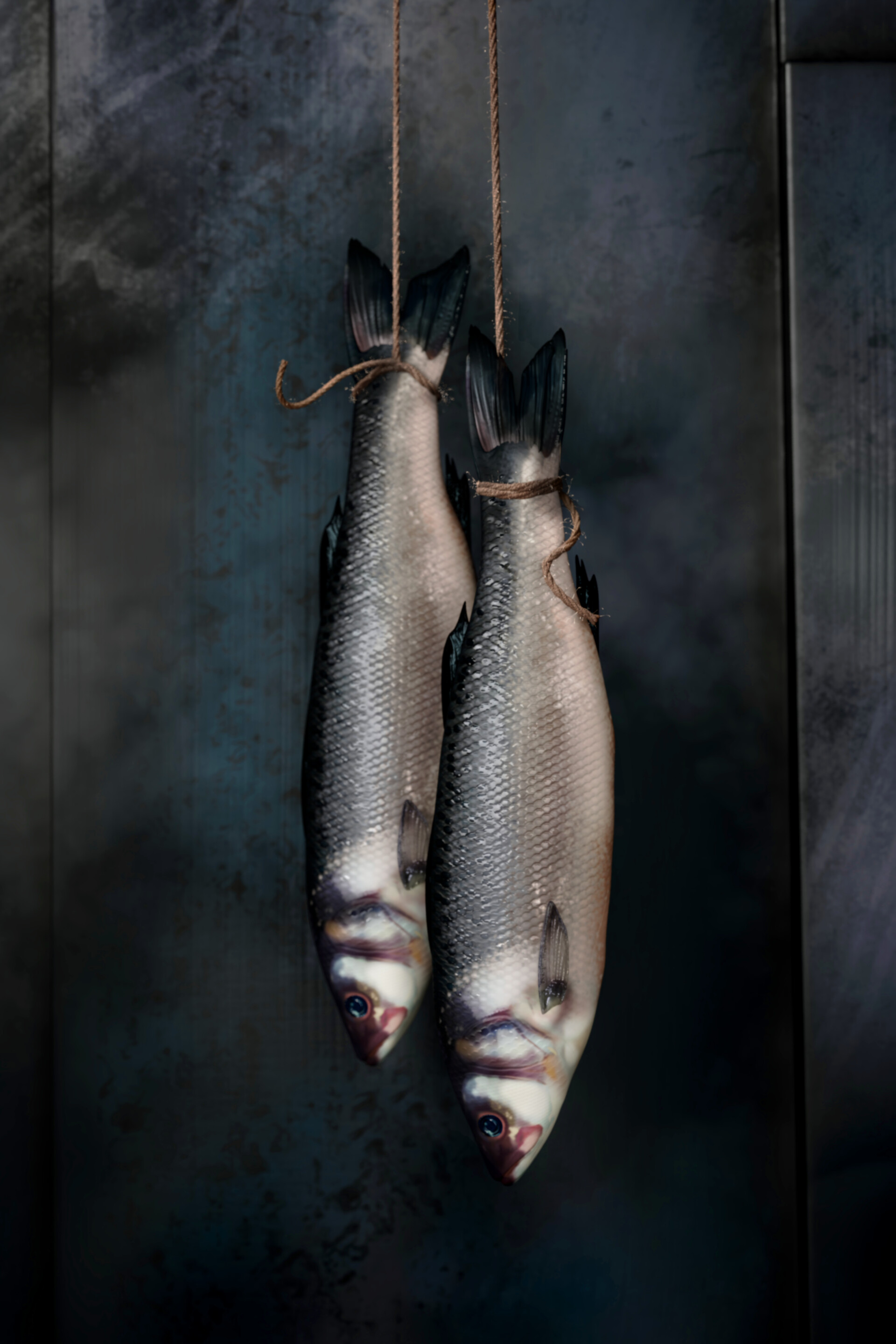 ArtStation - 3D modelled and textured fish, rendered with Arnold