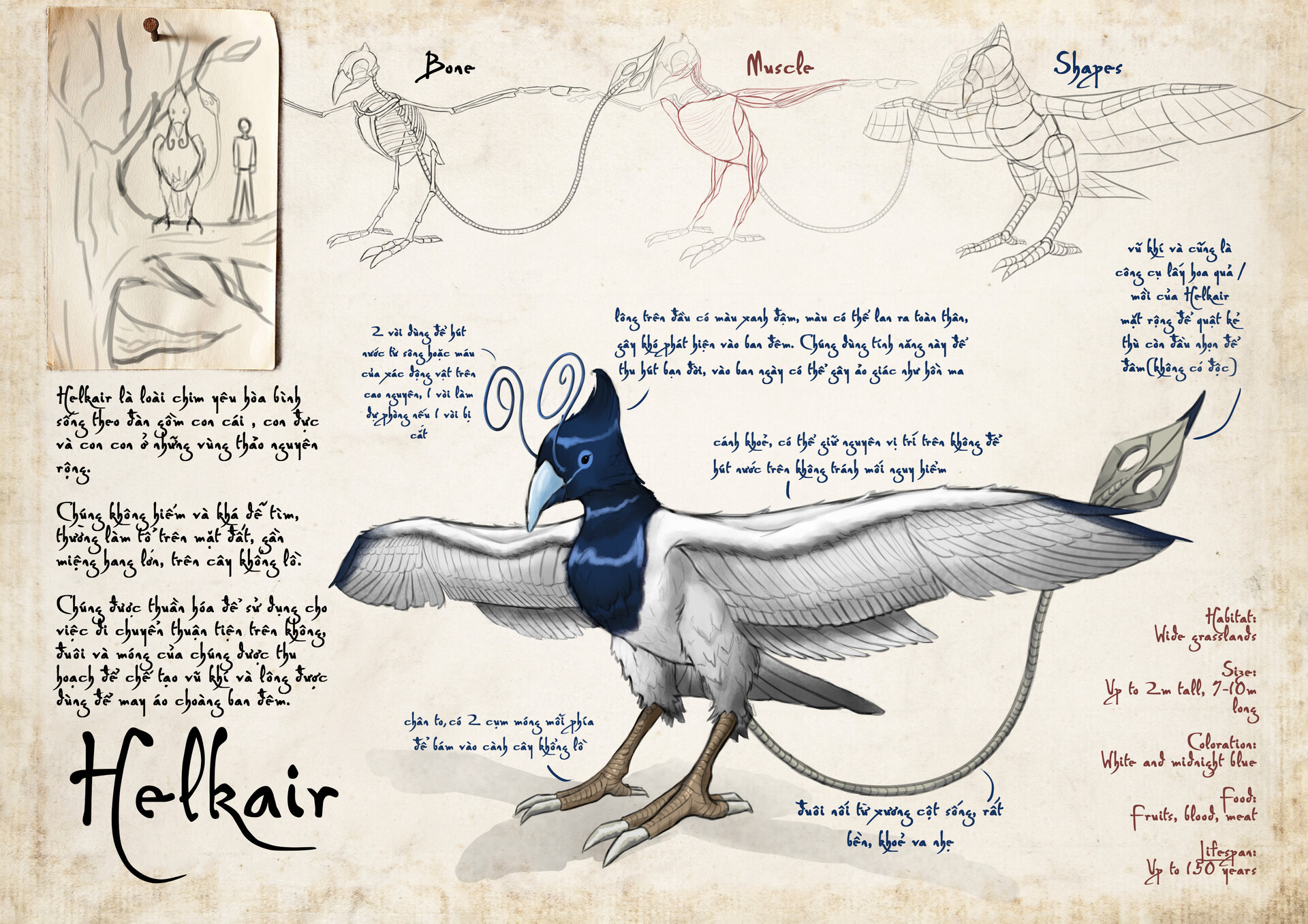 ArtStation - Helkair - Fantasy Creature Design