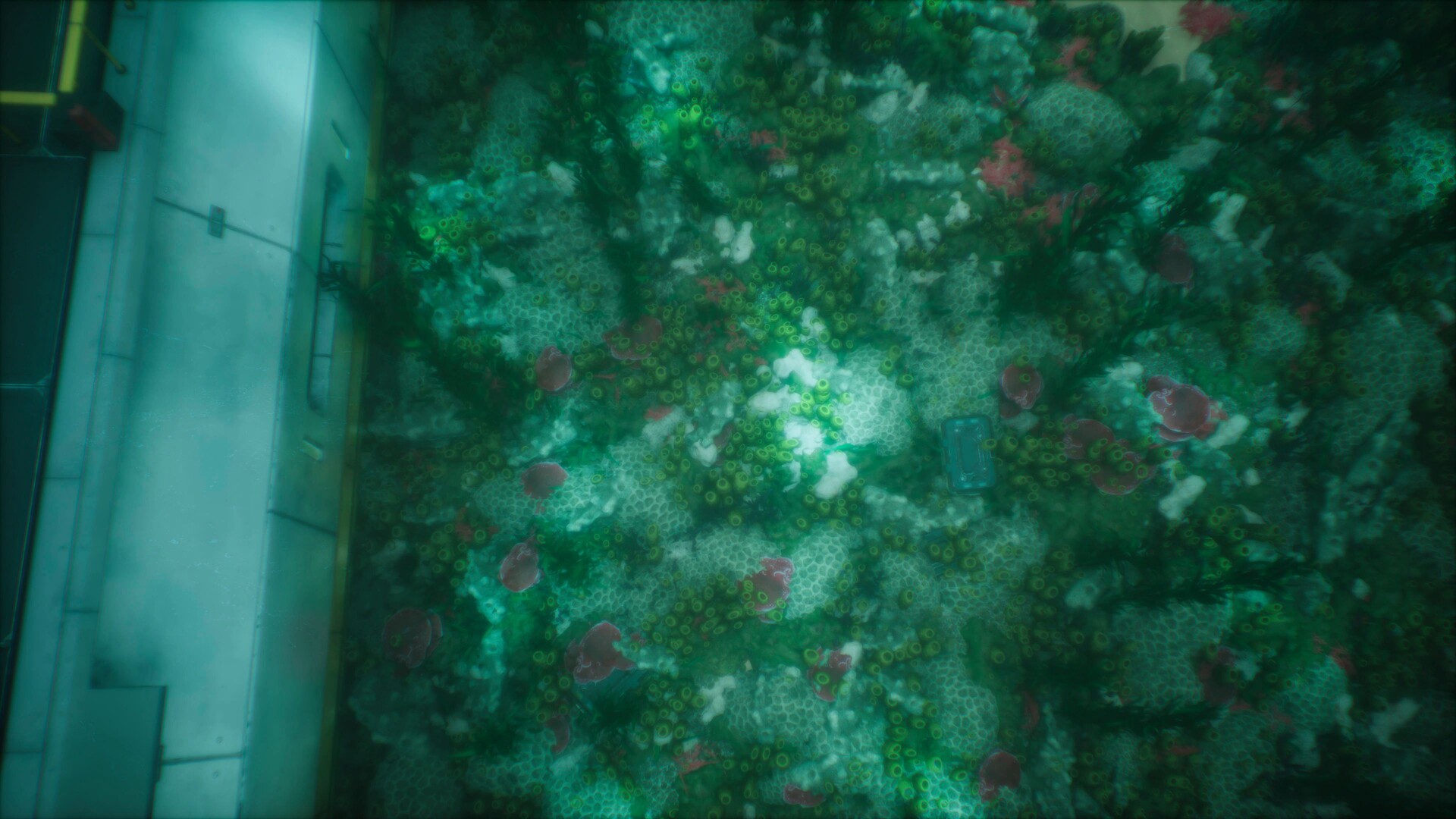 Lehusha Ivan - Subnautica RTX in Unreal Engine 5 - but in 8k 60 fps ...