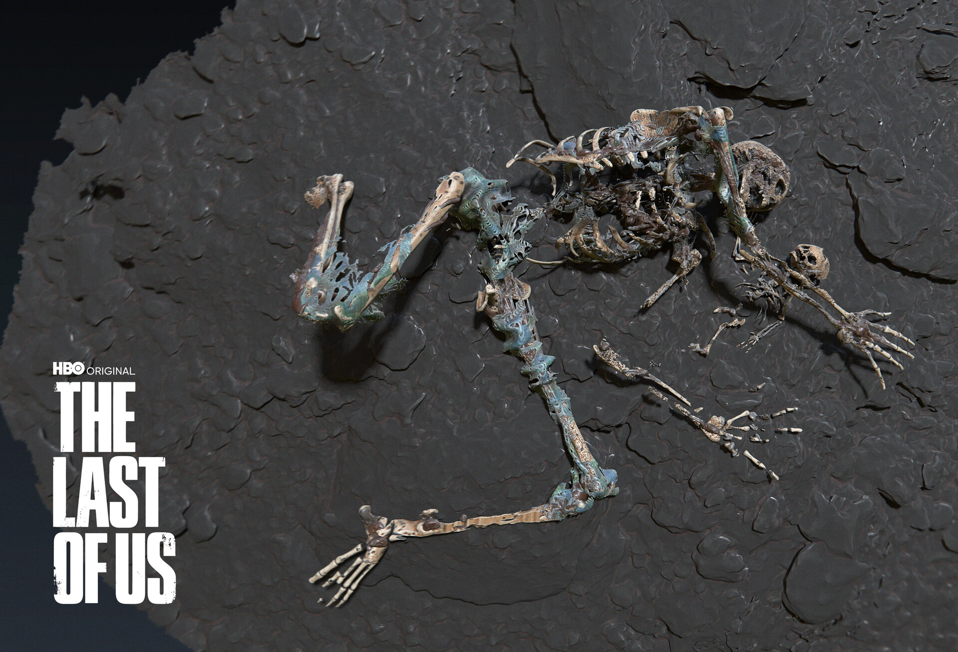 Pouya Moayedi - HBO's The Last of Us Season 1 : Skeleton Field / Mother ...