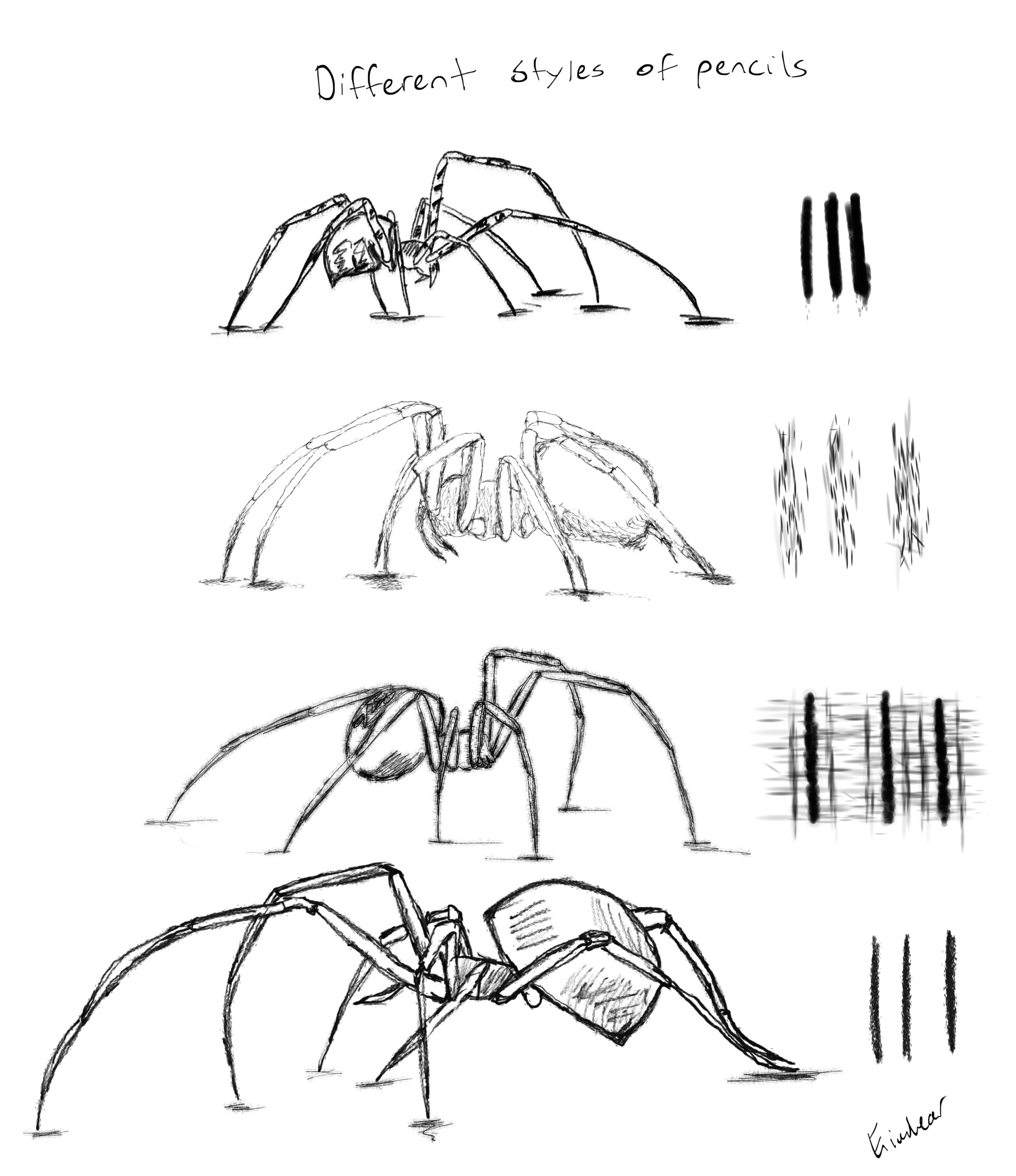 ArtStation - Spider studies