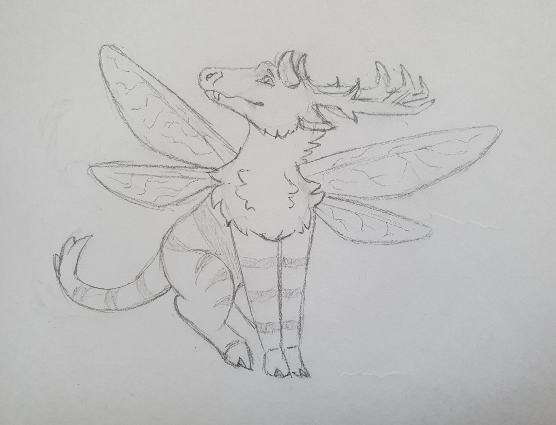 ArtStation - A little drawing of Hachi