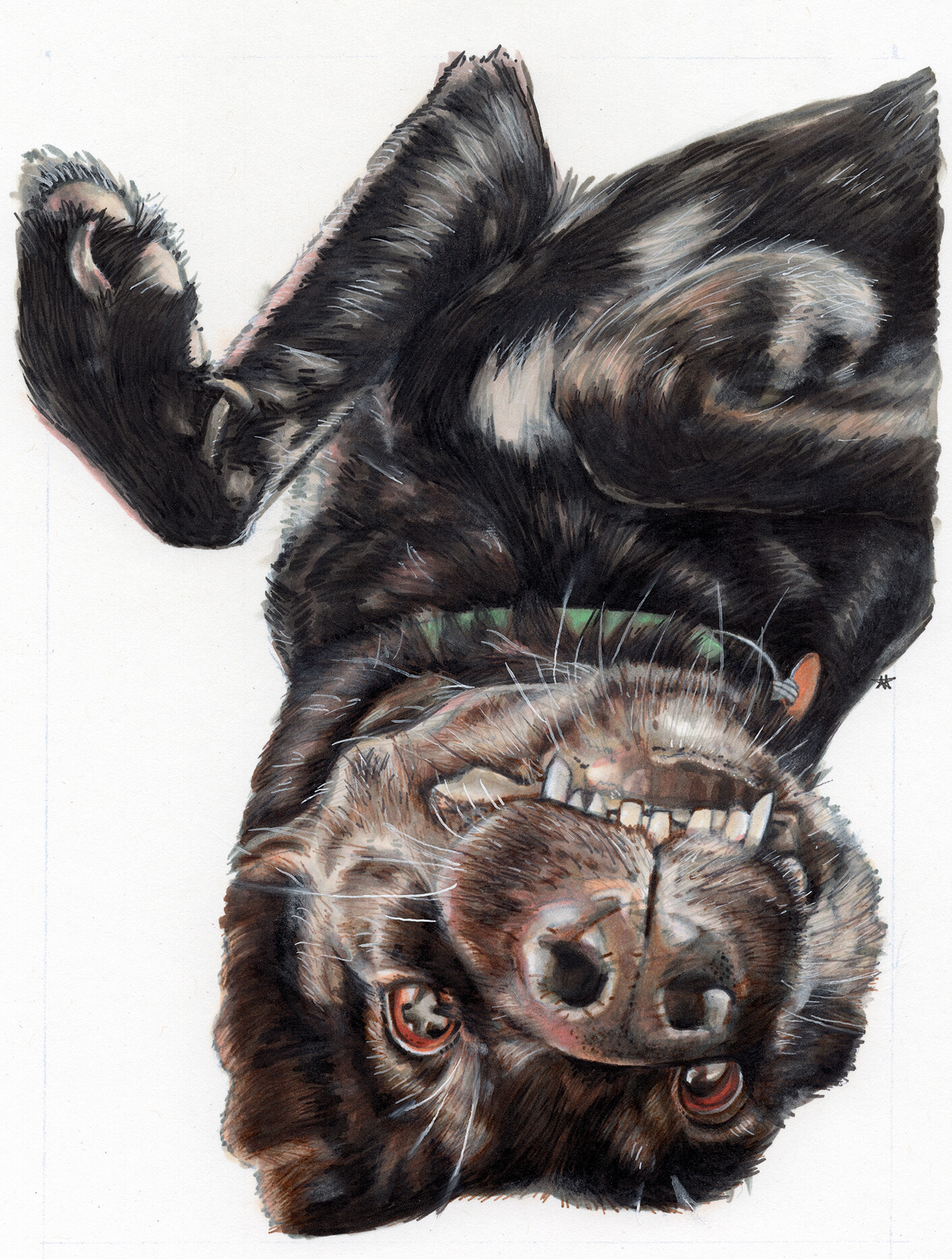 ArtStation - Upside-down Dog Portrait
