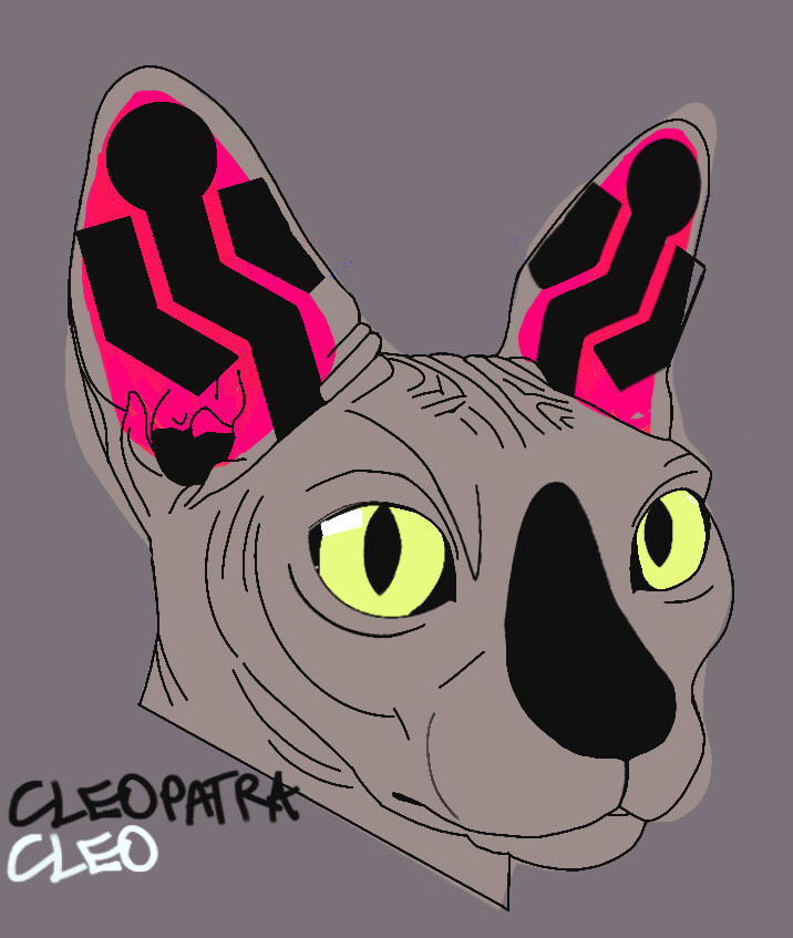 Thomas (Tom) Mulkey - From Scratch