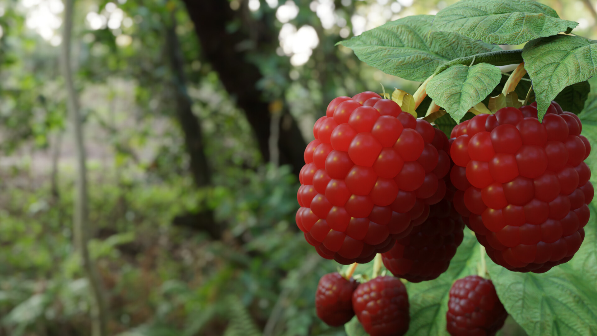 ArtStation - Raspberry sprig