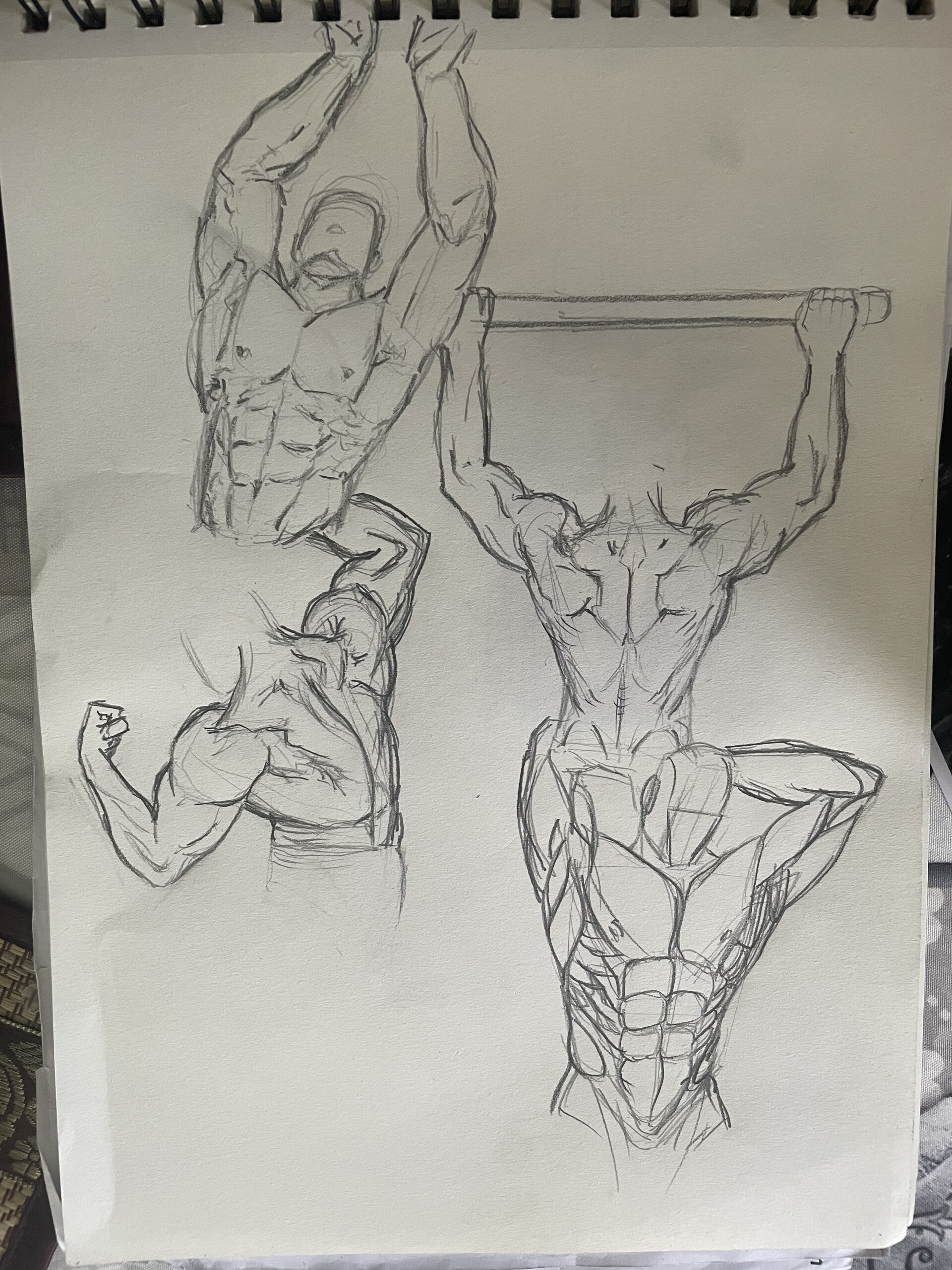 ArtStation - Torso studies