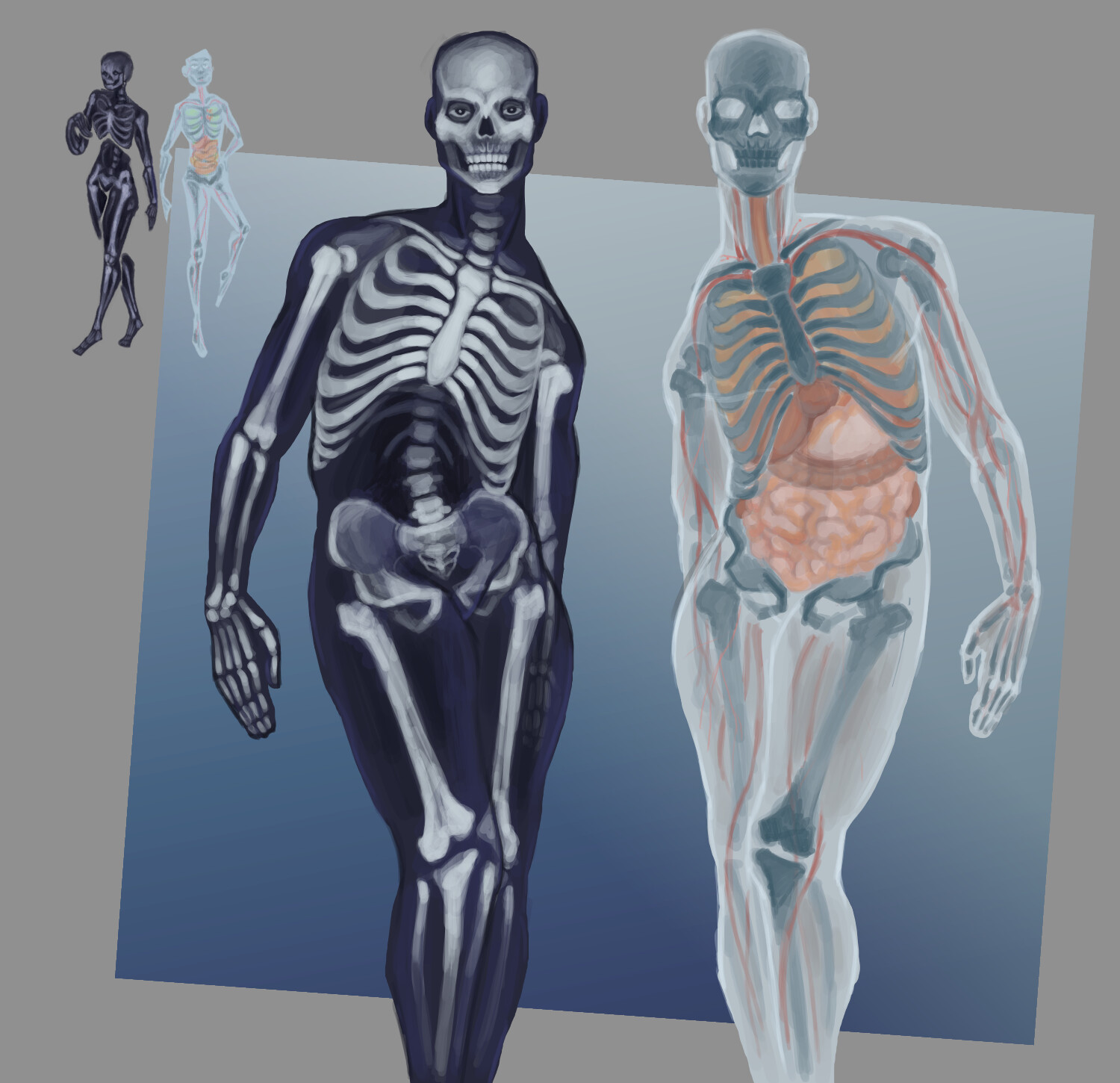 ArtStation - Gel anatomy