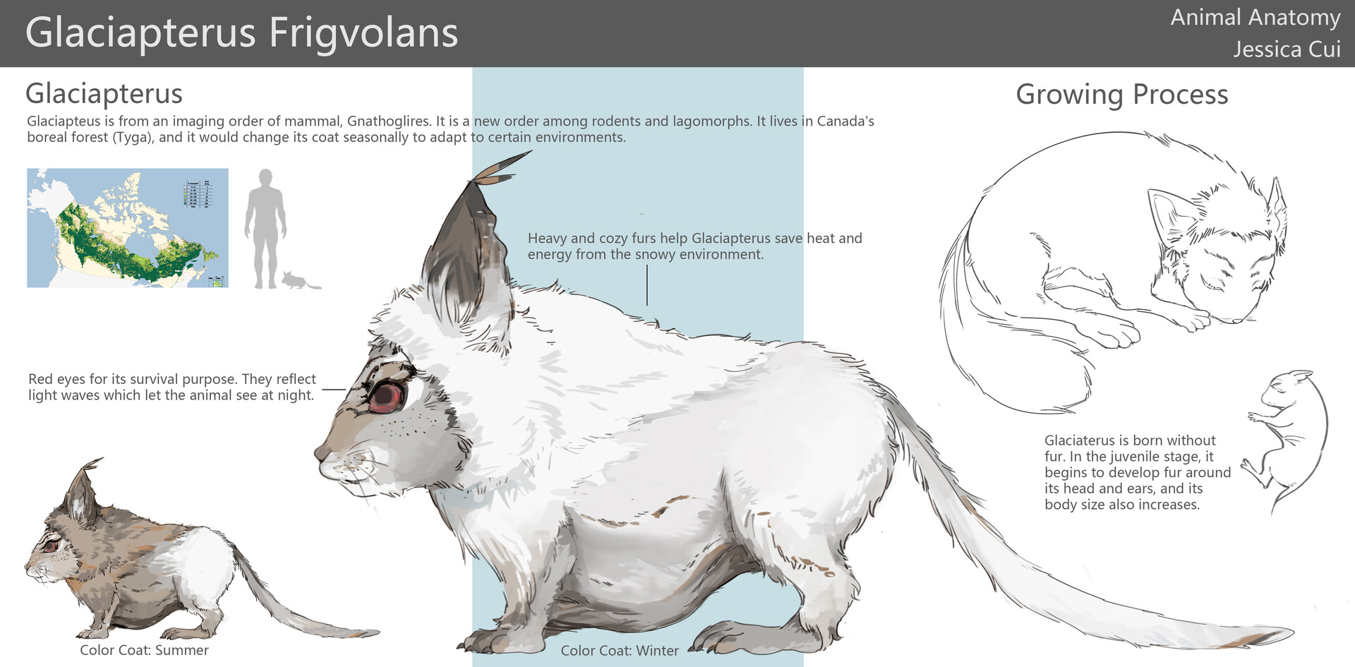 Jessica Cui - Some Creature Design Works from School