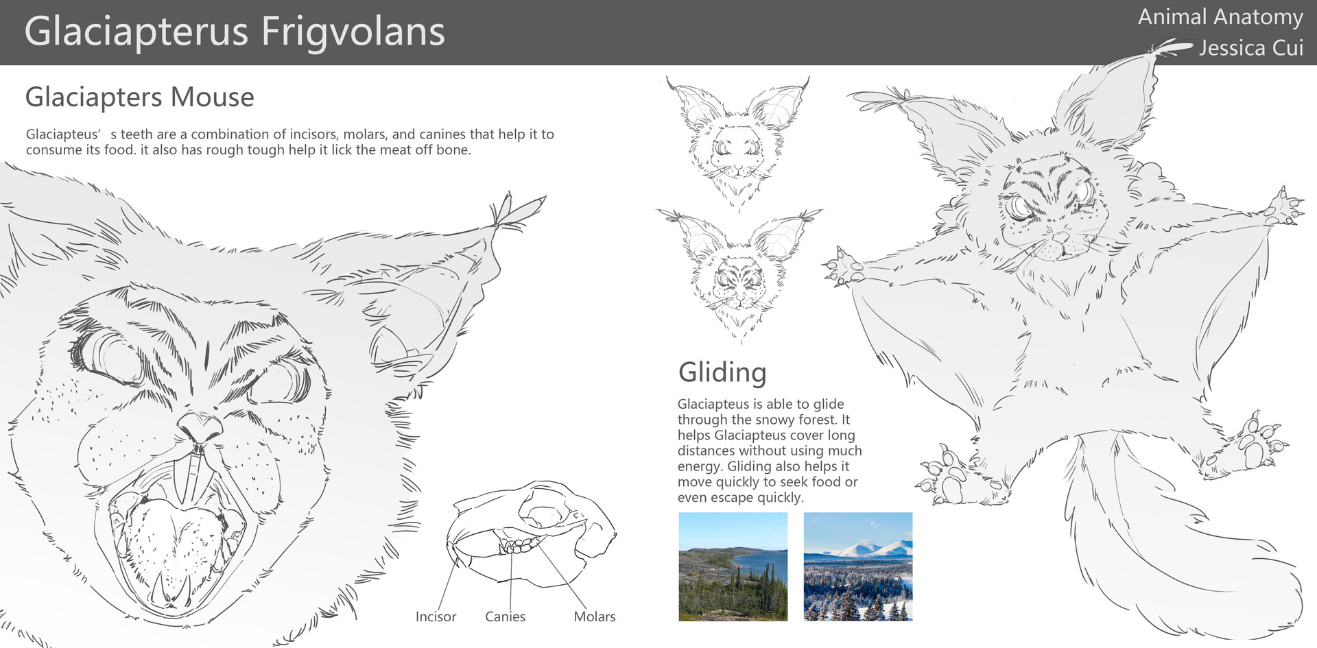 Jessica Cui - Some Creature Design Works from School