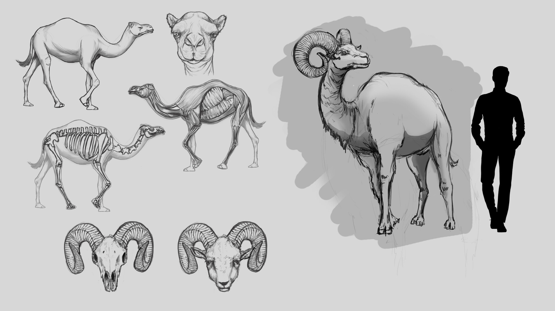 ArtStation - Creature Concept Design