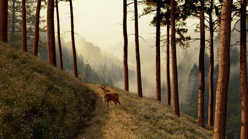 ArtStation - Zebediah Dias