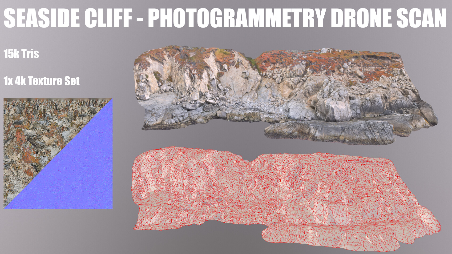 Riane Randall - Photogrammetry Scans