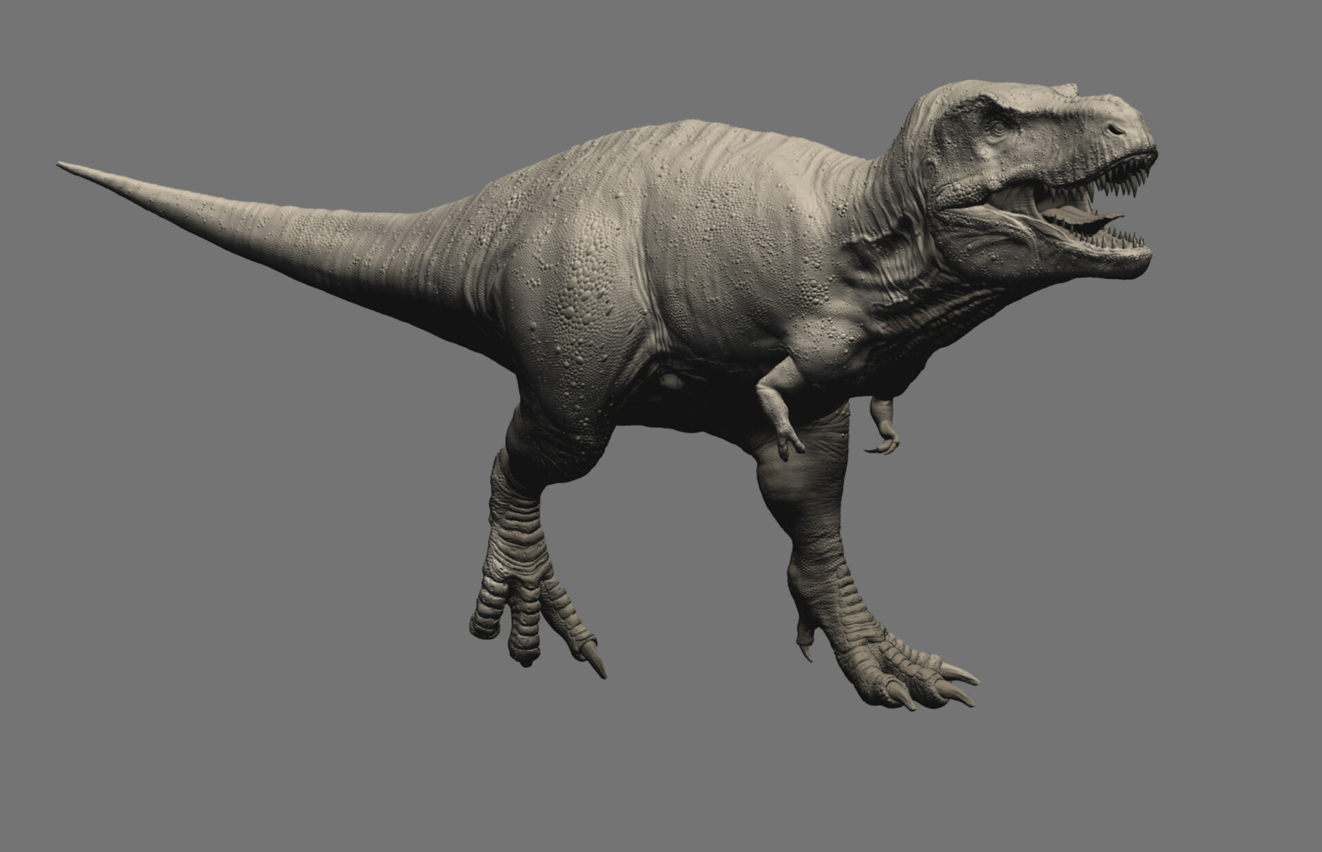 ArtStation - Tyrannosaurus Grey Sculpt