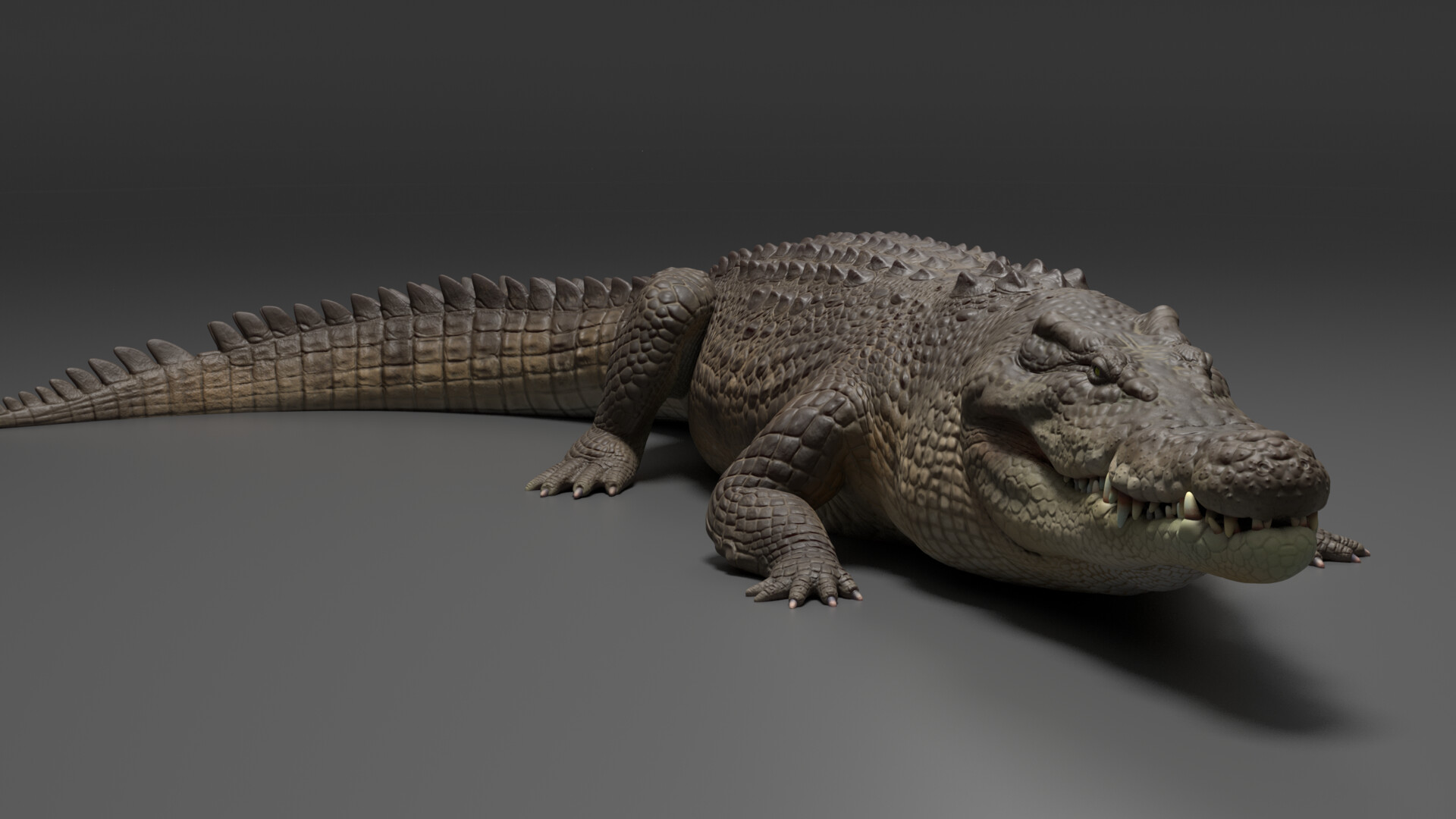 ArtStation - Salt water crocodile. Maya, Zbrush