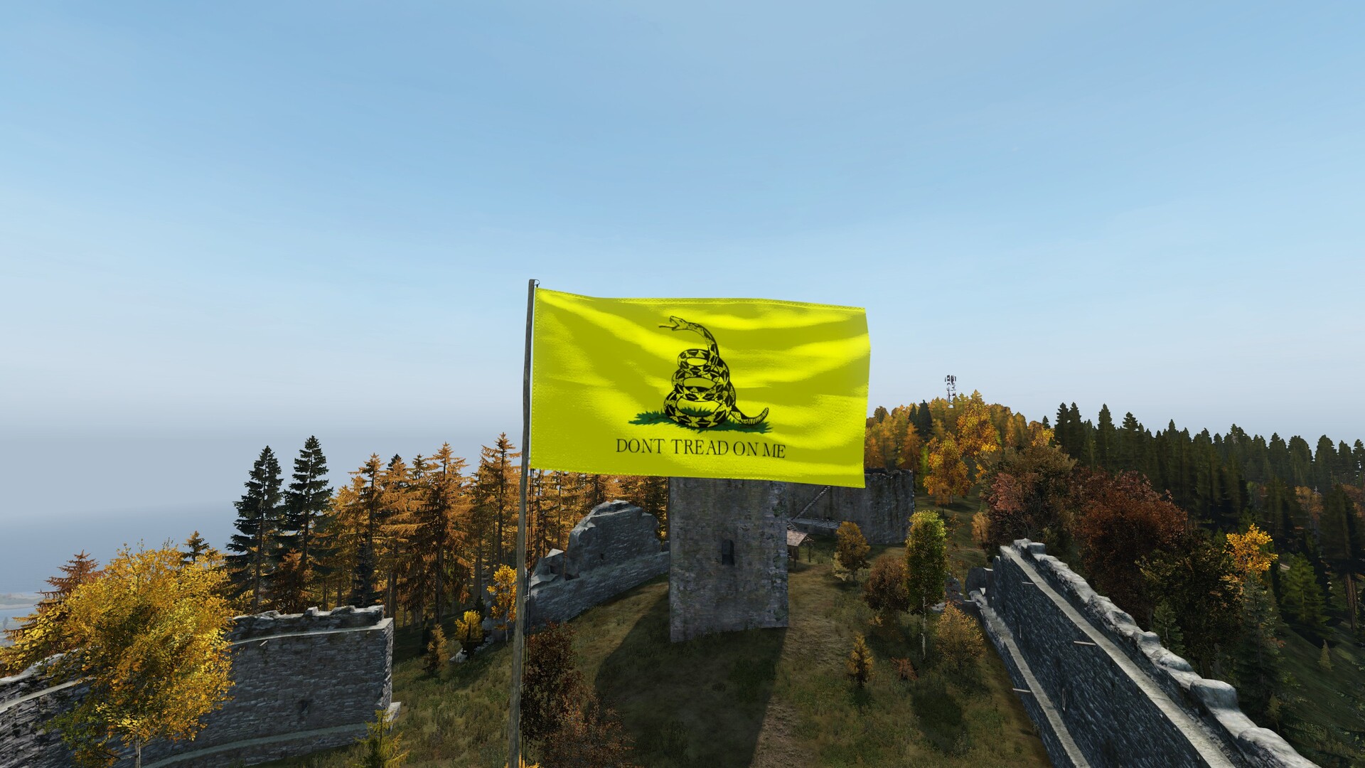 Faneca - DayZ - Gadsden Flag