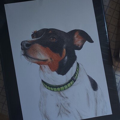 Suki Art