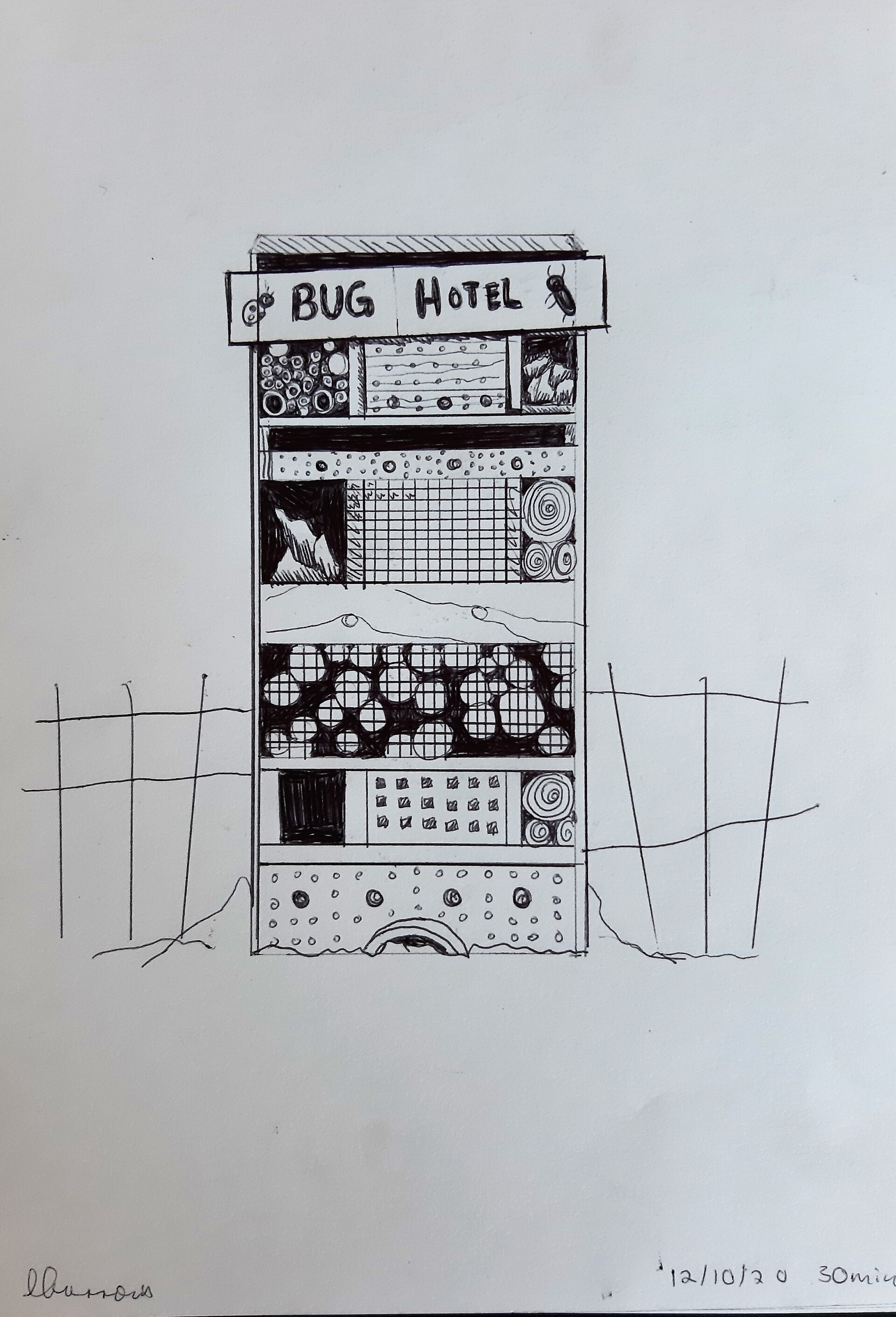 ArtStation - Observation Drawing Practice
