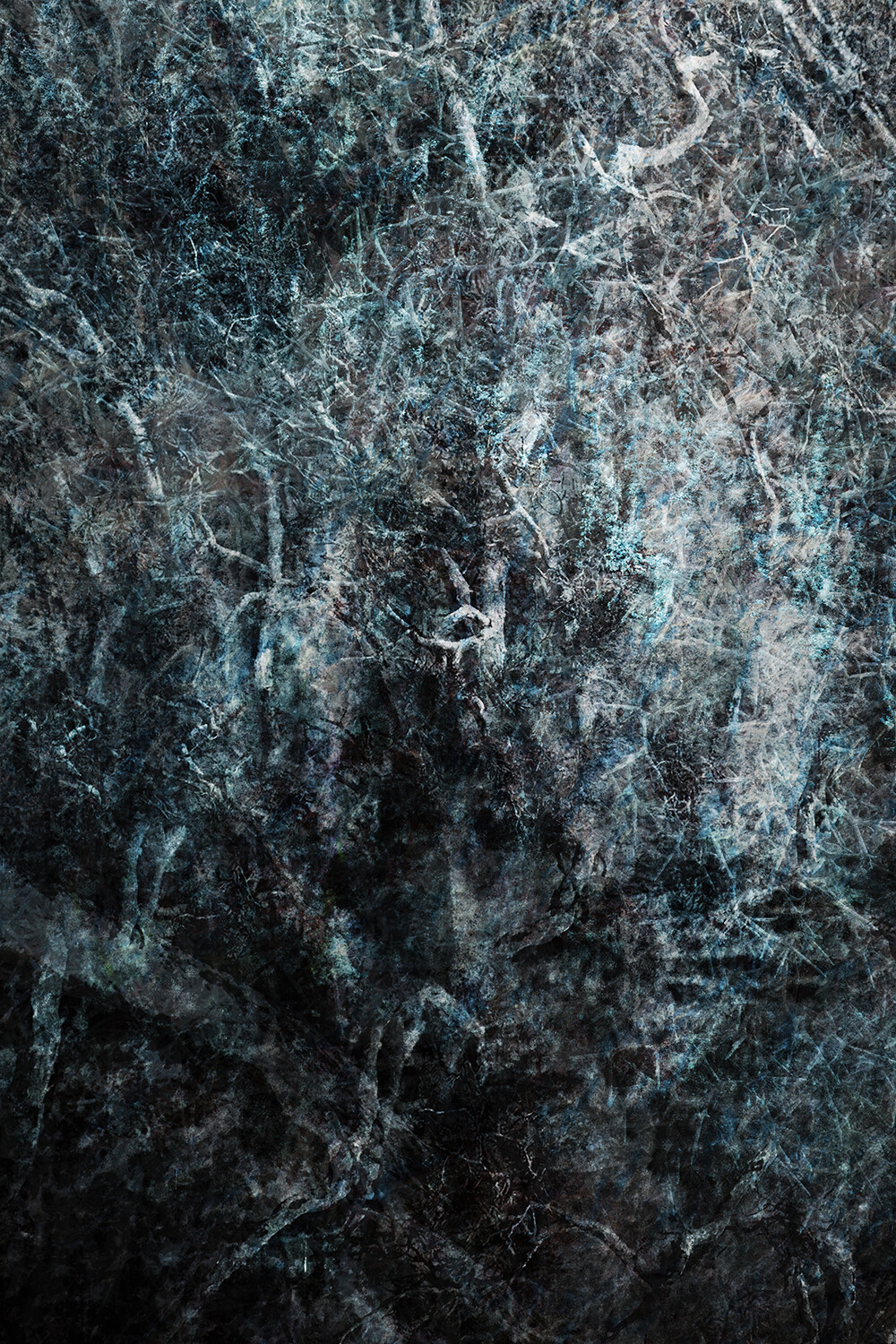 ArtStation - Ghosts of Trees