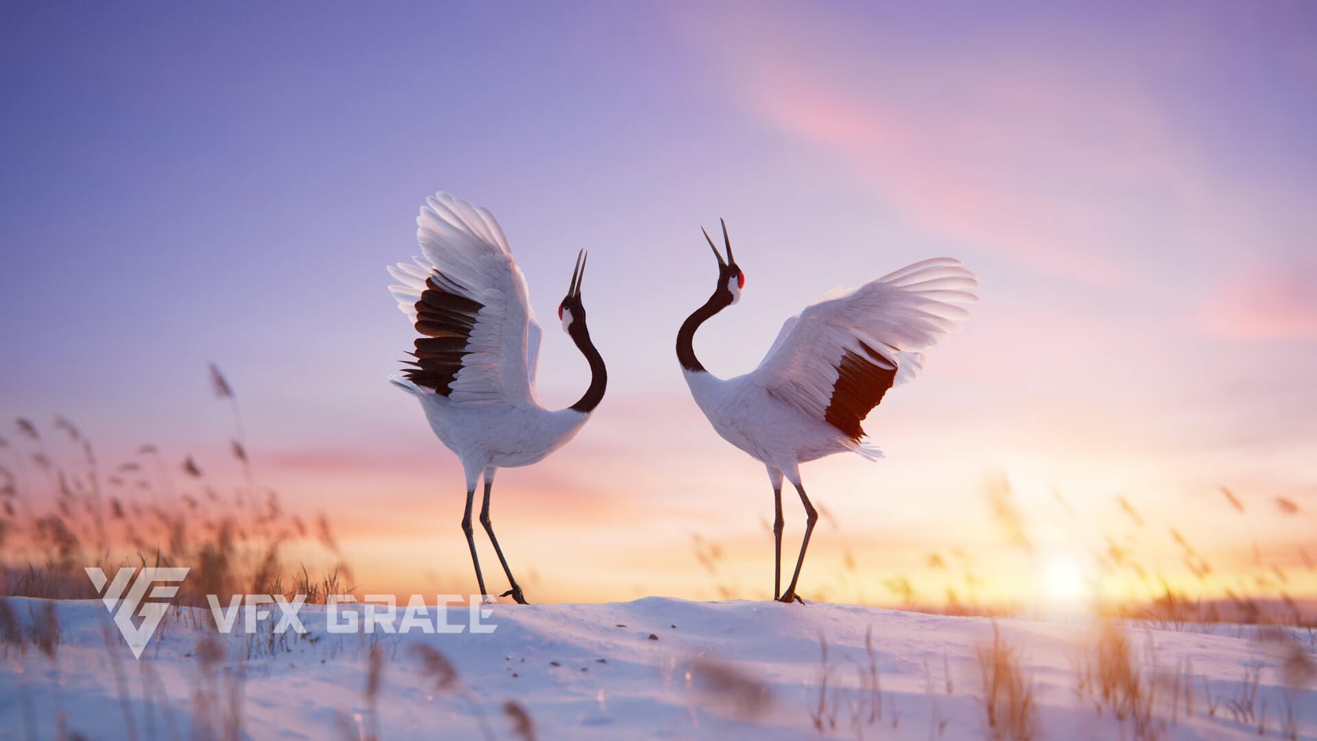 ArtStation - Red-Crowned Crane Animation