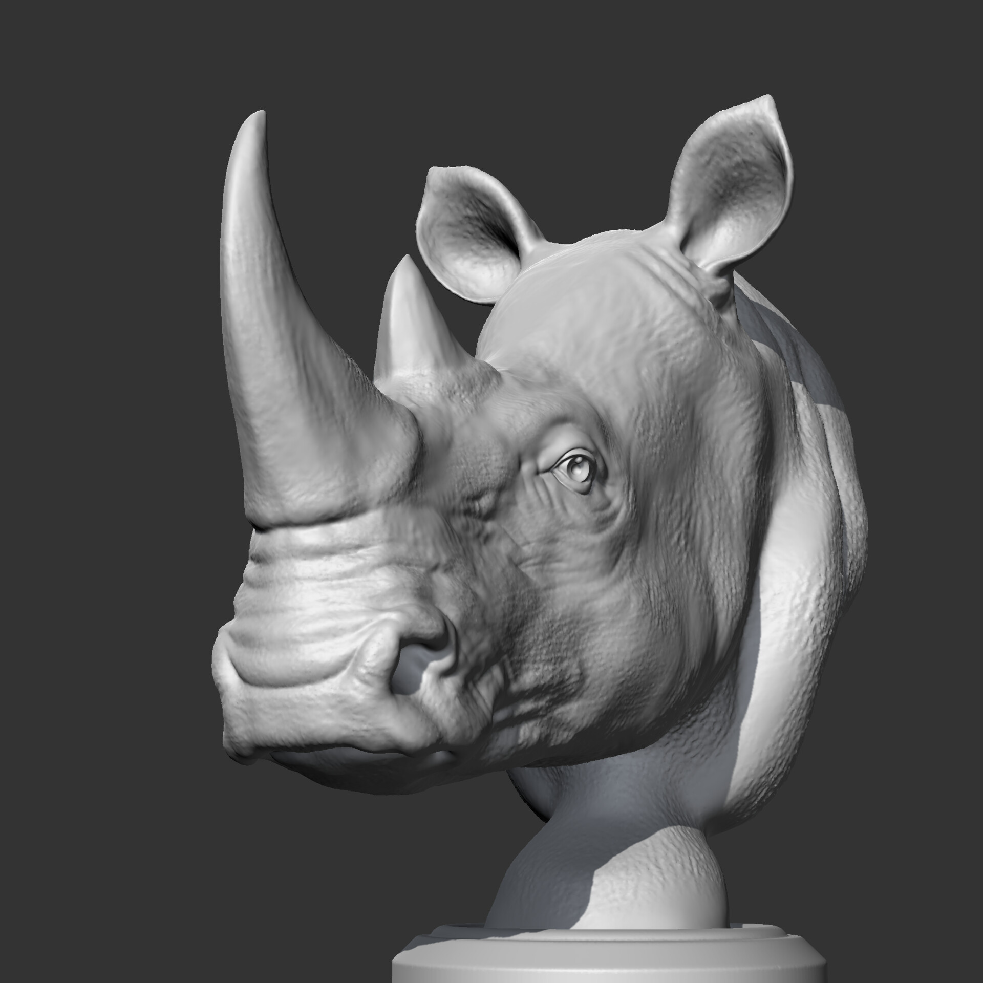 ArtStation - Rhino Head AM12 3D print model