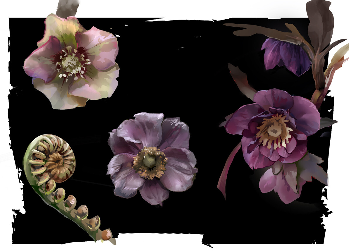 ArtStation - Flowers