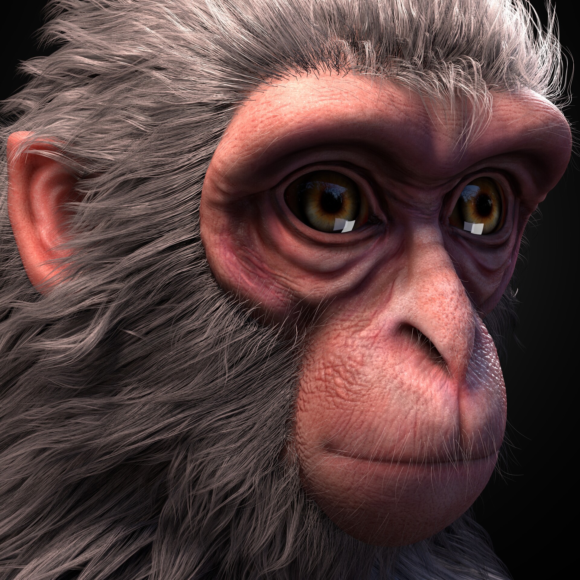 ArtStation - Monkey-3D Portrait