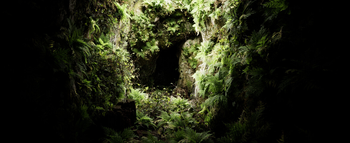 ArtStation - Path tracing forest