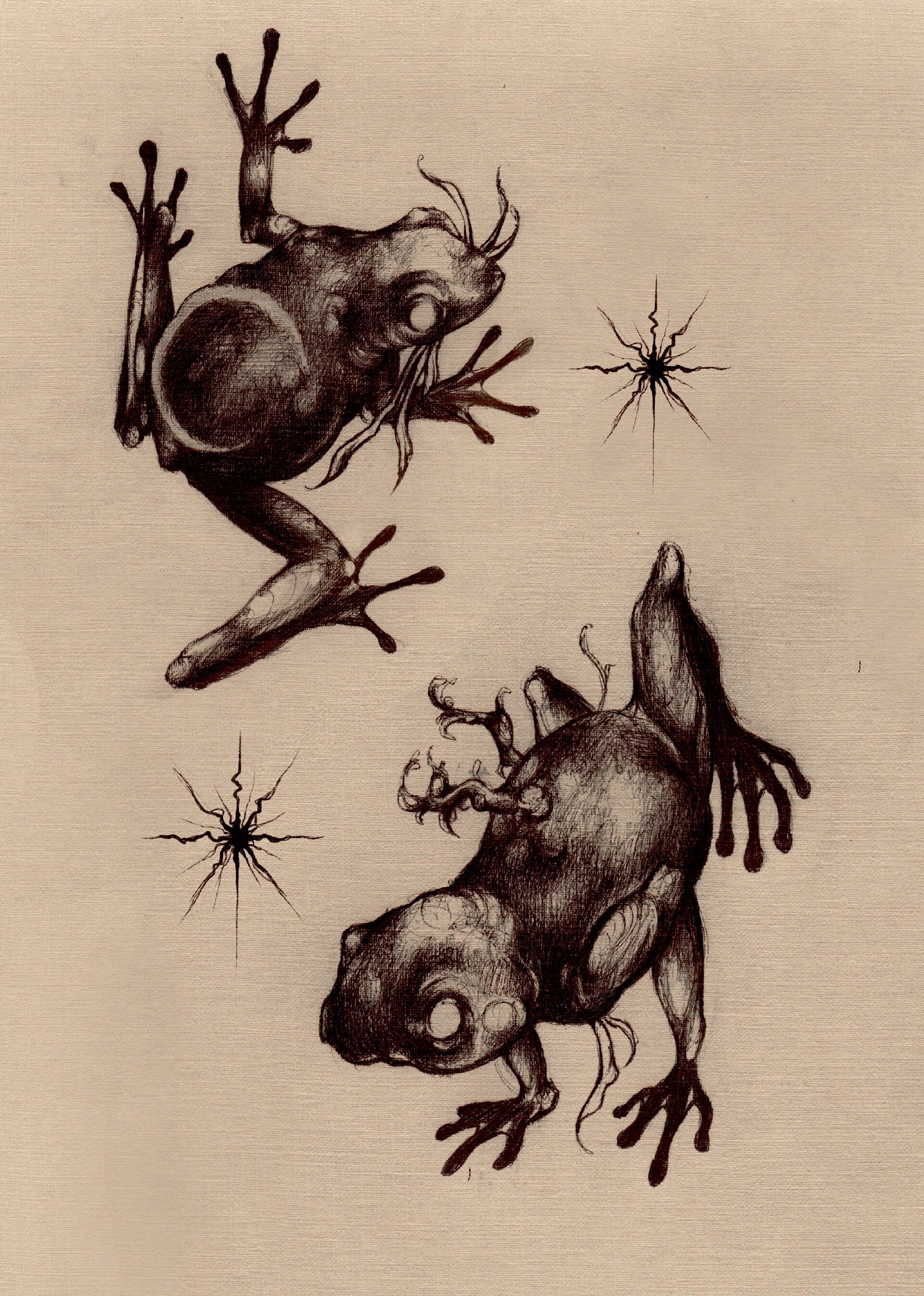 ArtStation - Dark Frogs