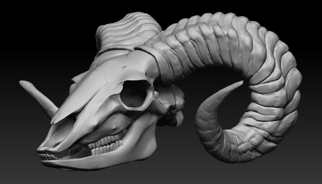 ArtStation - Aries Skull and Head