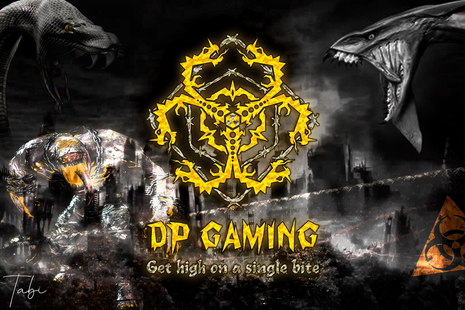 Tabi Nguyen - DP Gaming