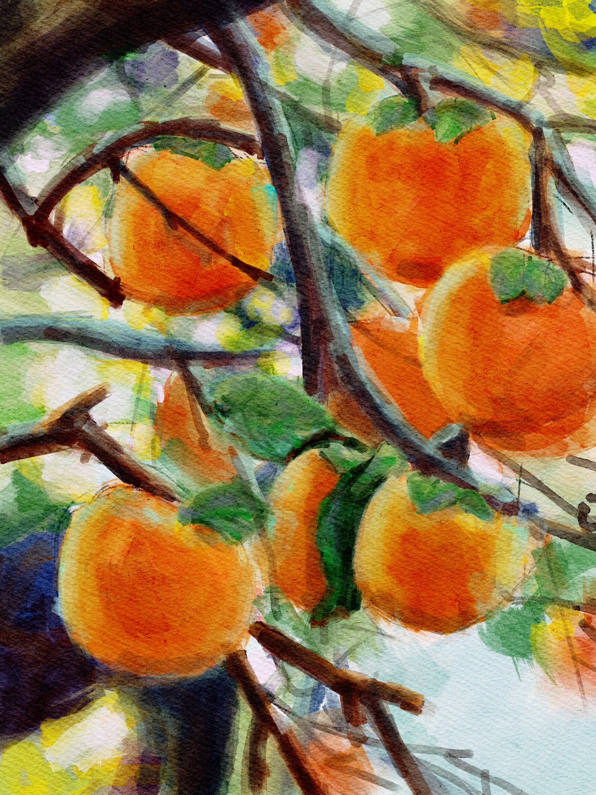 ArtStation - Persimmon