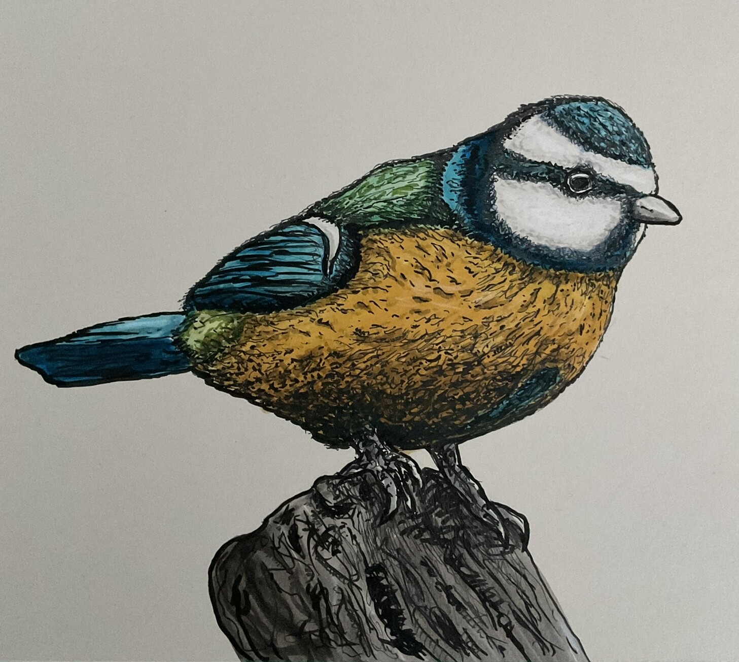 ArtStation - Dessin d'oiseaux