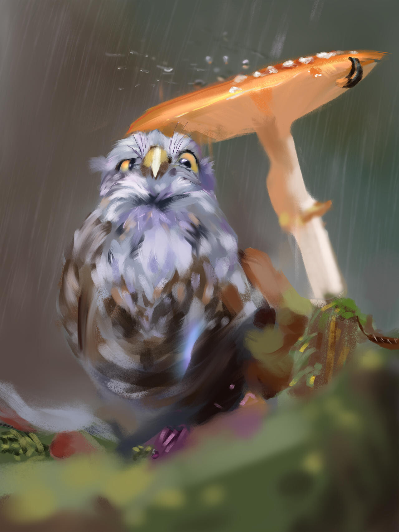 ArtStation - Bird kingdom