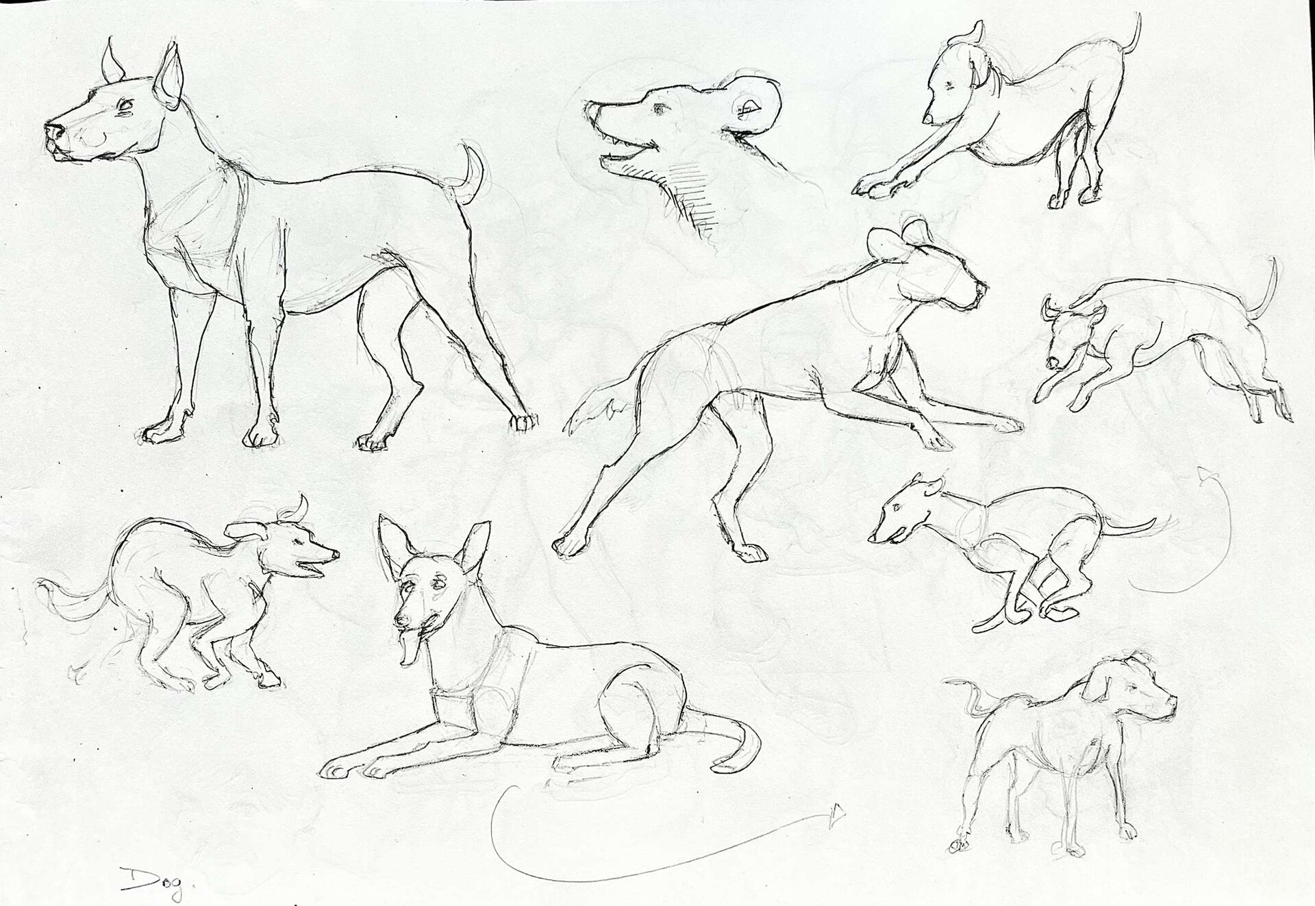 ArtStation - Rough outline or Basic shapes