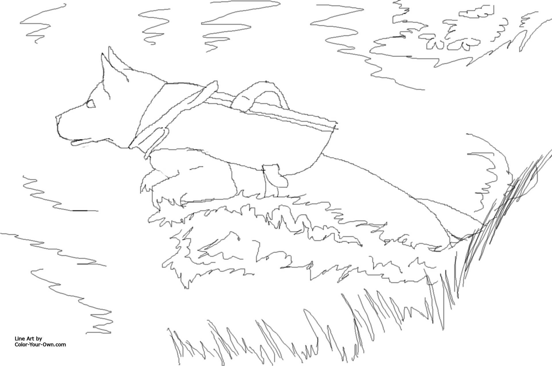 sled dogs coloring pages