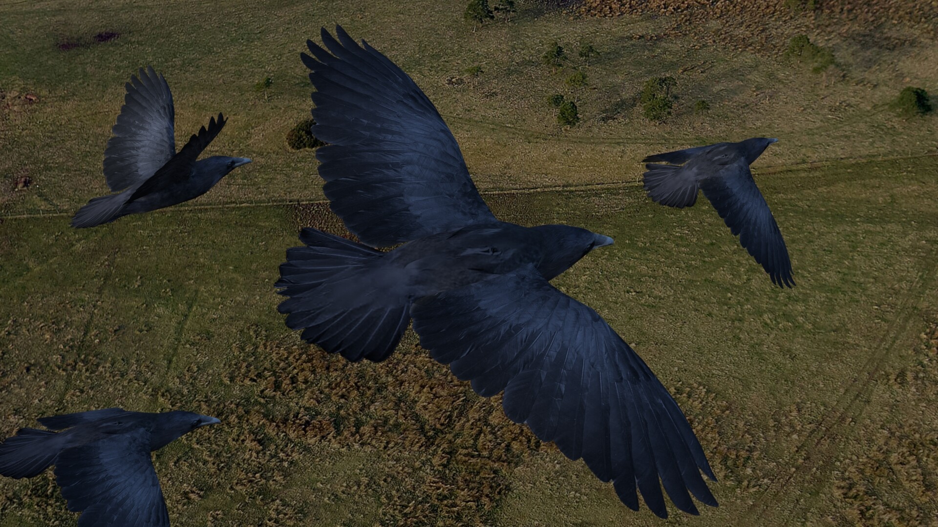 ArtStation - Low poly animated flying crow 3D model