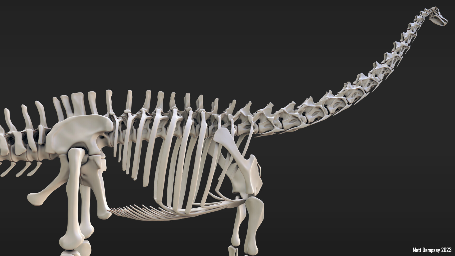 diplodocus skeleton 3d