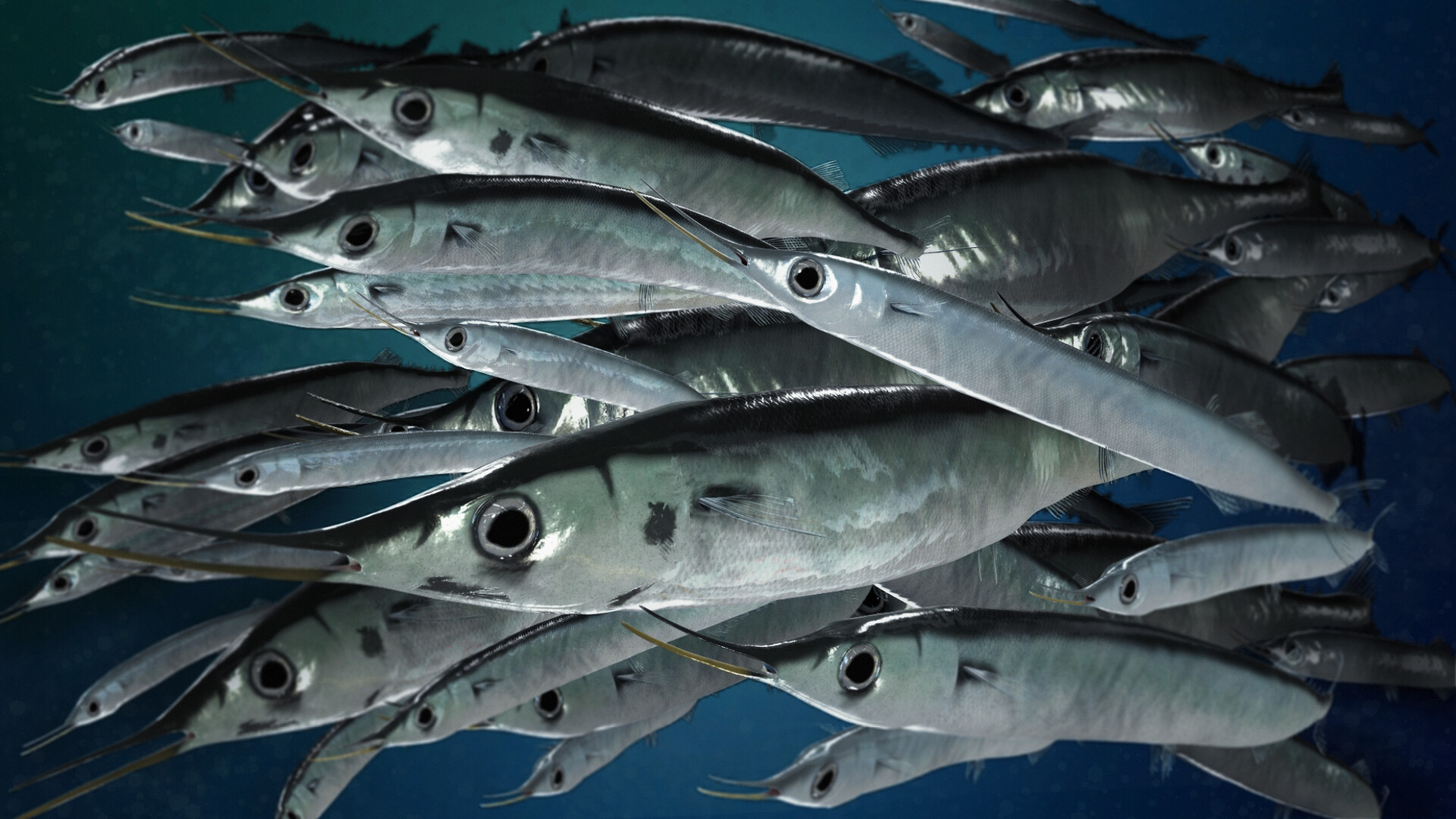 ArtStation - Atlantic saury