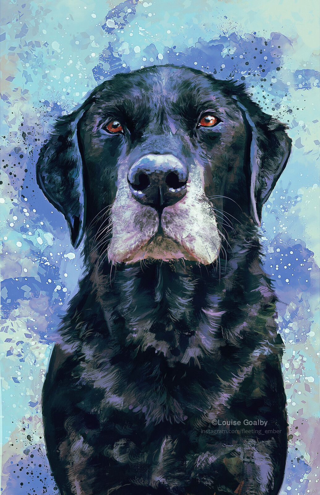 Louise Goalby - Pet Portrait - Vinnie