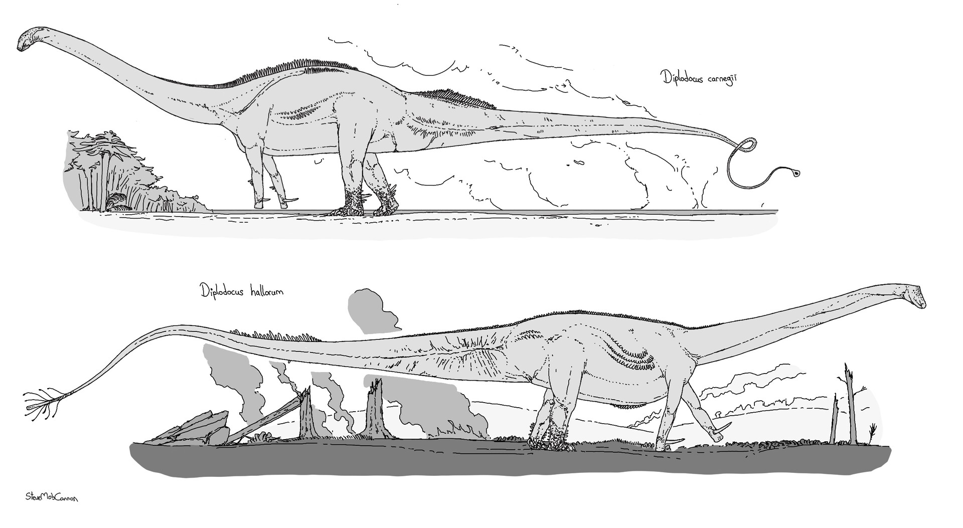 ArtStation - Prehistoric Sketches 3