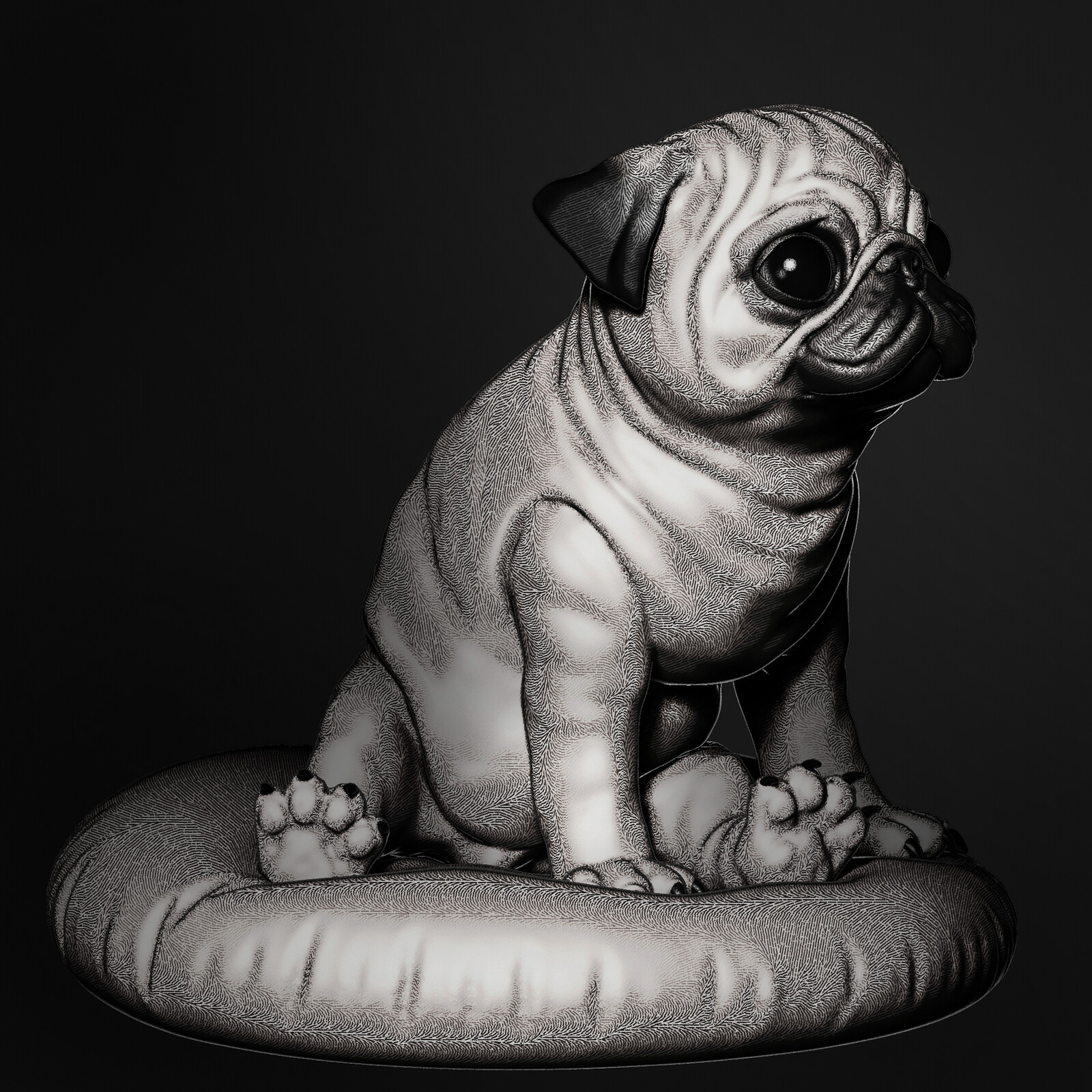 Jovany Cárdenas - Pug