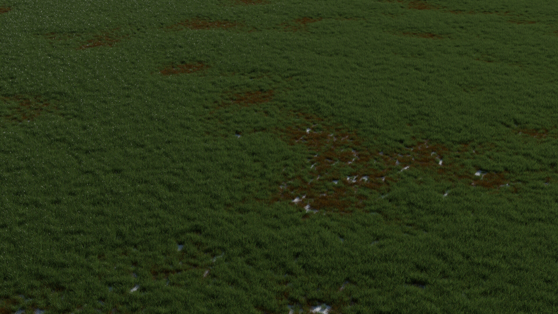 Christian GH Frost - Geometry Nodes - Nature Assets_01