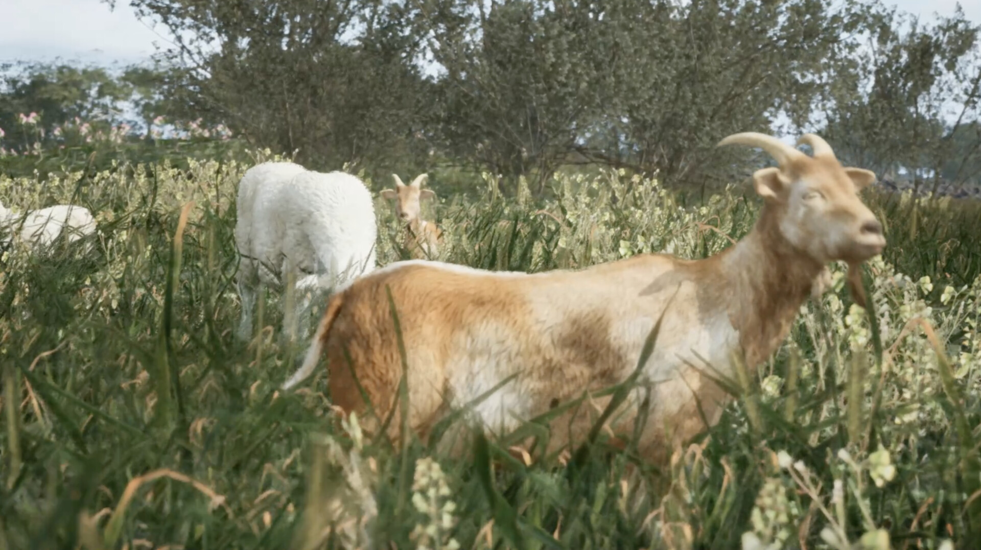 Hannah Winn - Lush Farm
